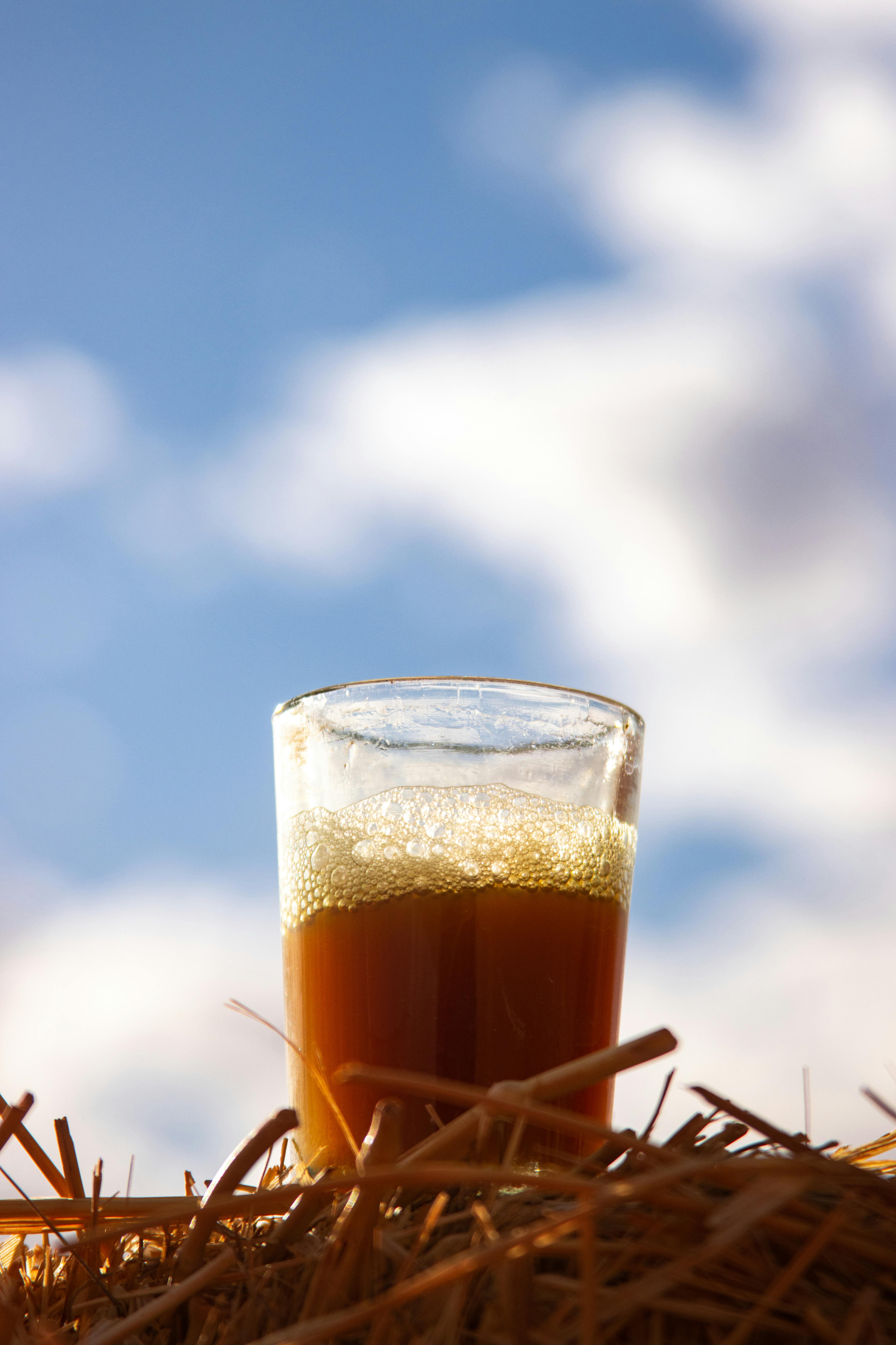 Refreshing Sunrise Drink Against Blue Sky · Free Stock Photo