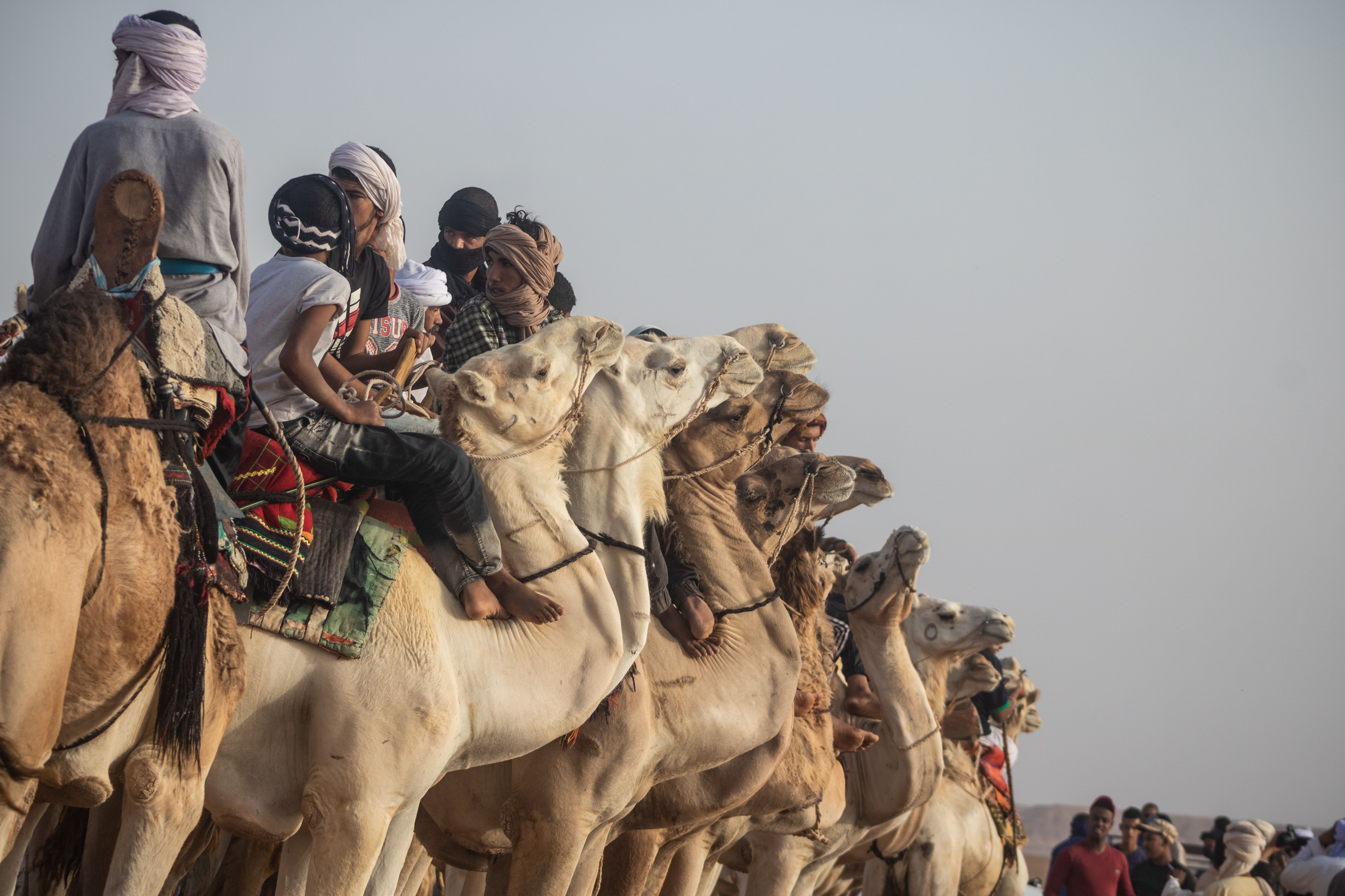 Camel riders in desert landscape at sunset · Free Stock Photo