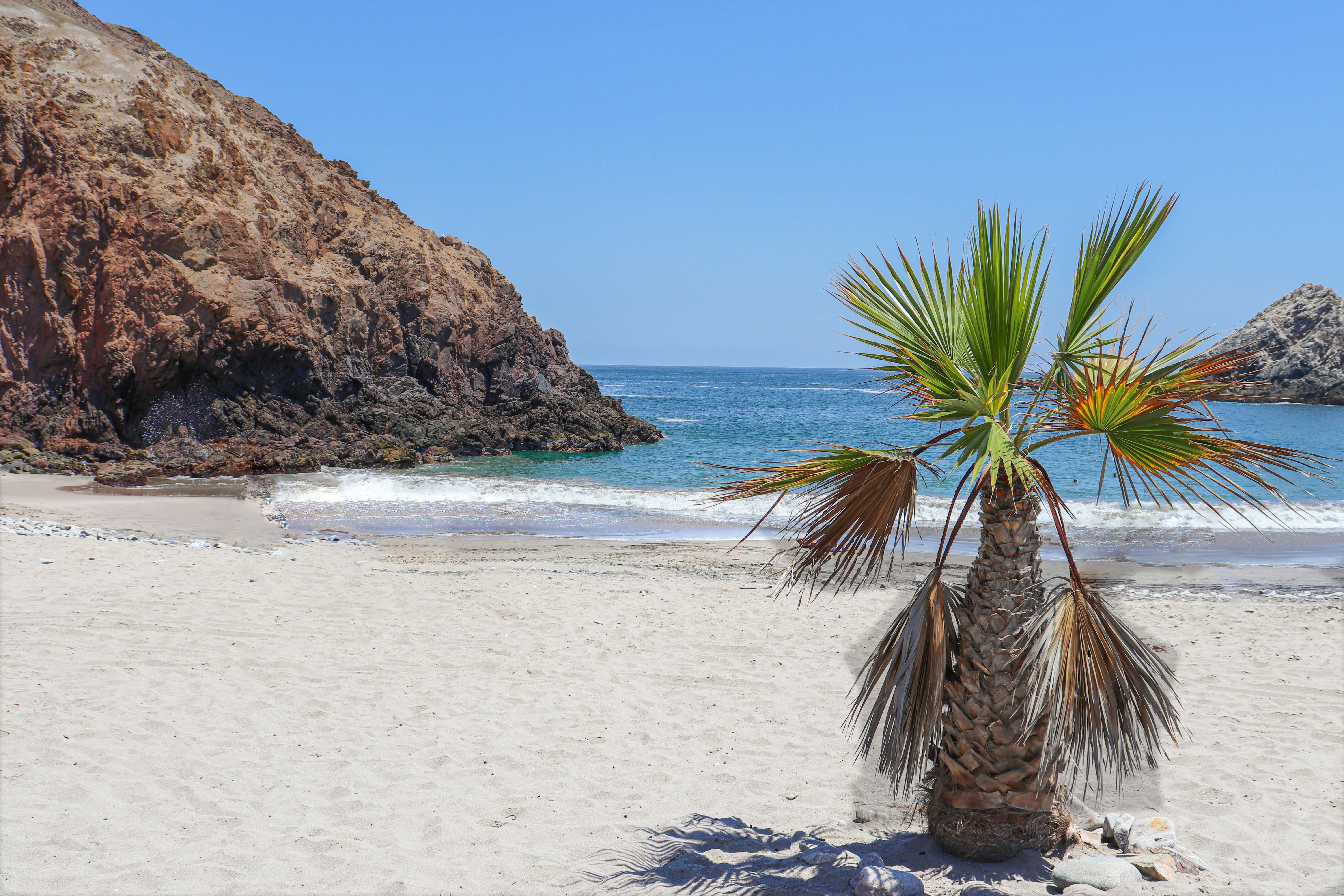 Scenic Beach Landscape in Arequipa, Peru · Free Stock Photo