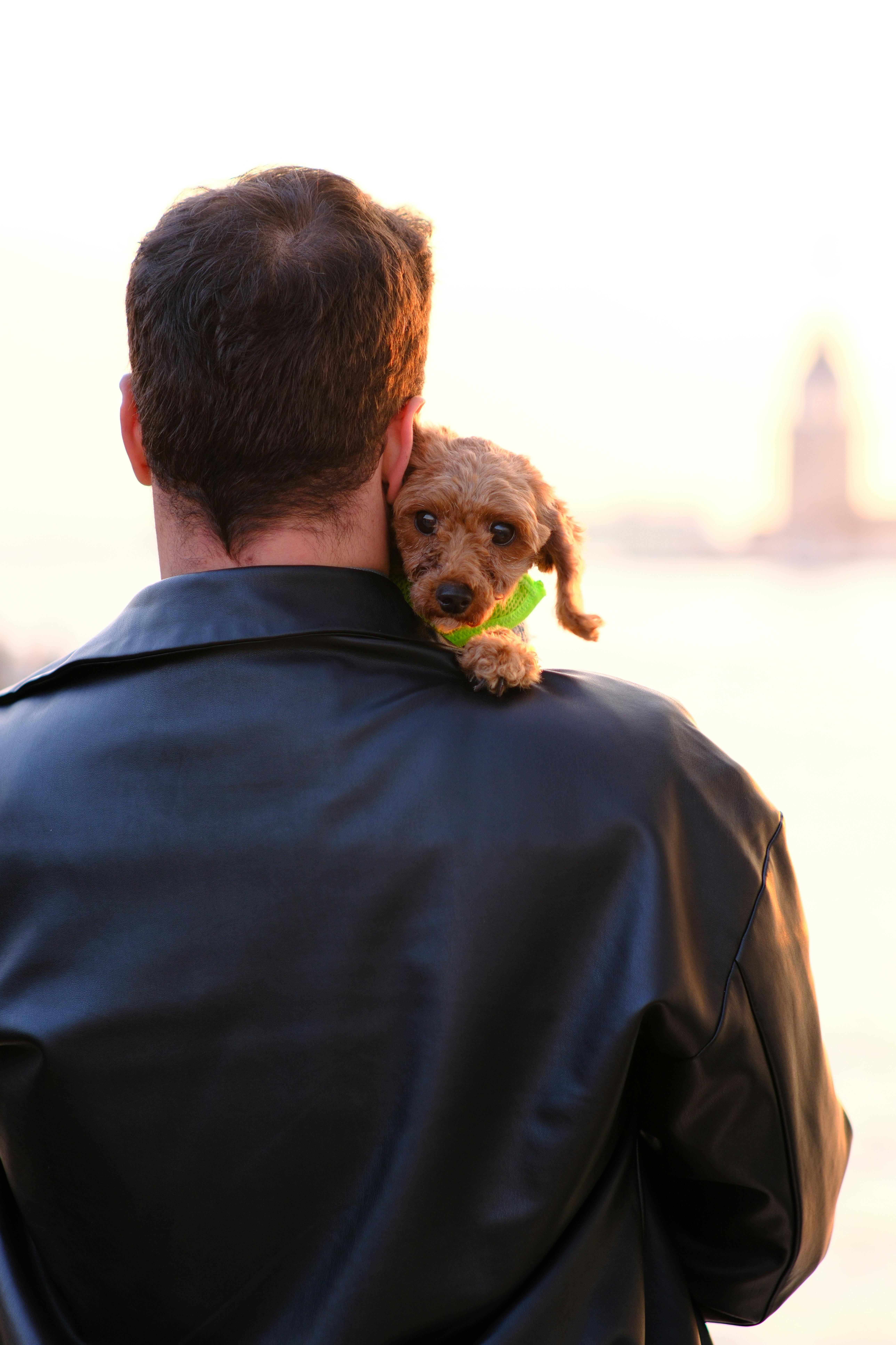 Man Holding Puppy with Scenic Background · Free Stock Photo