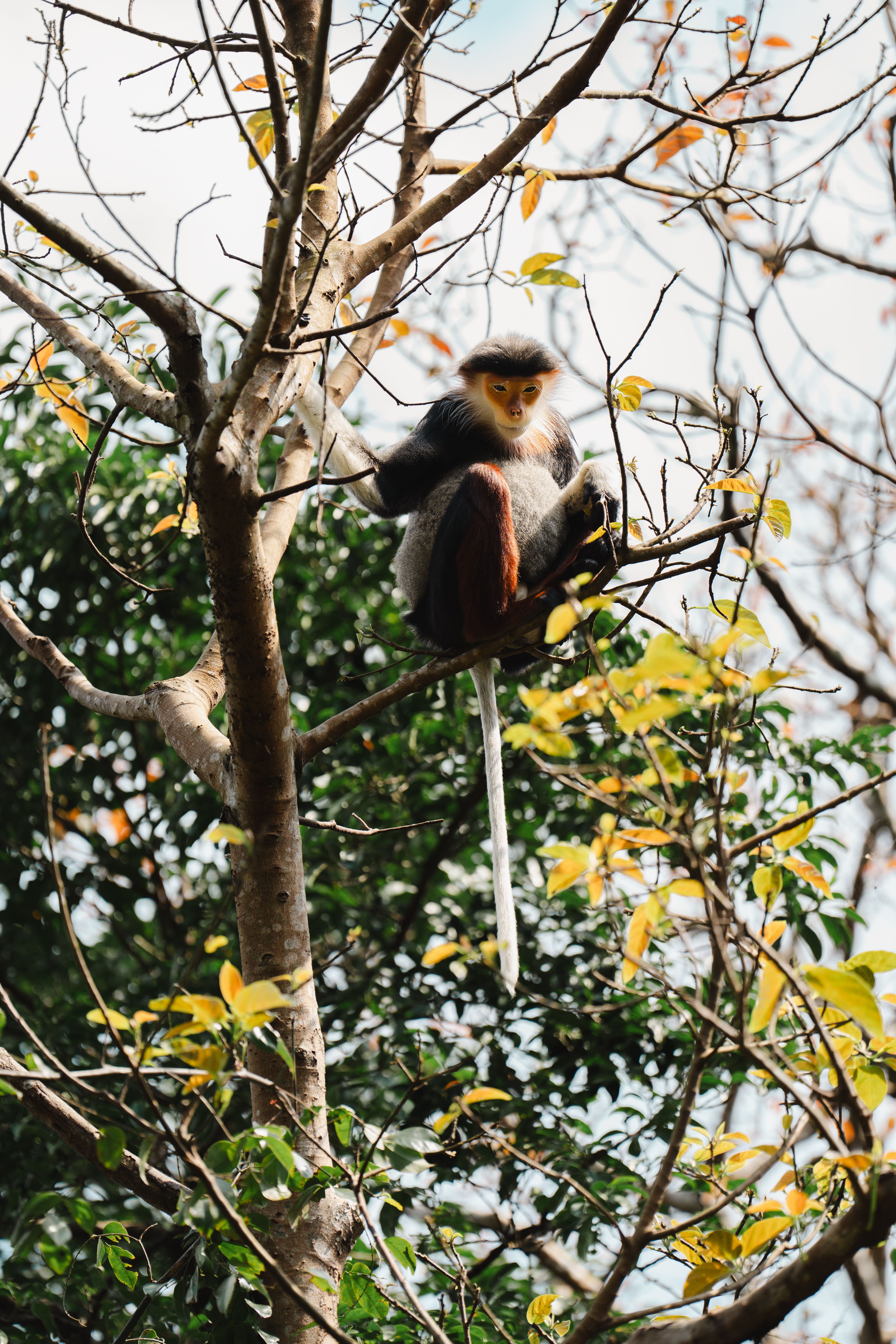 Randers Rainforest Photos, Download The BEST Free Randers Rainforest ...