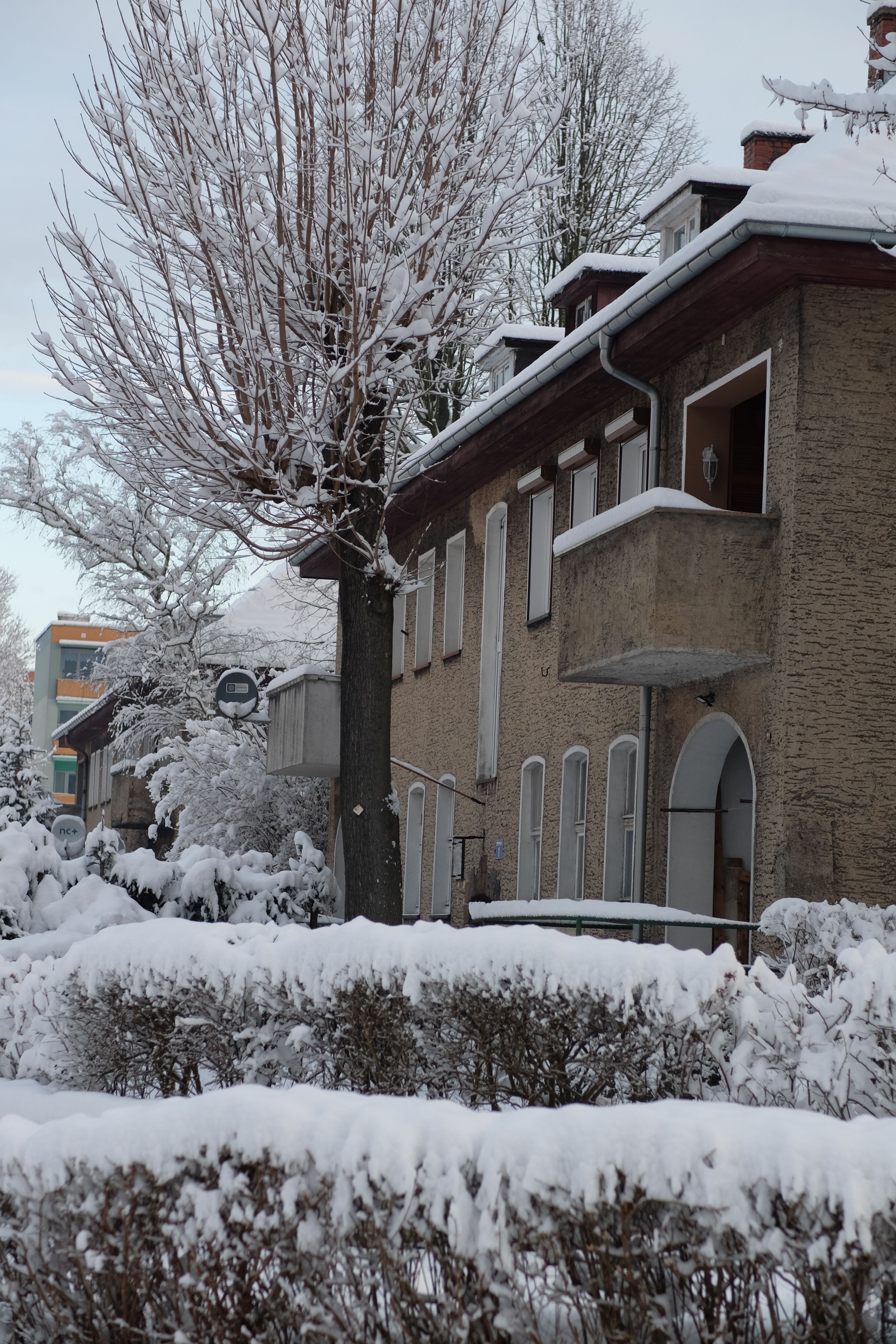Winter Snow-Covered Suburban Street Scene · Free Stock Photo