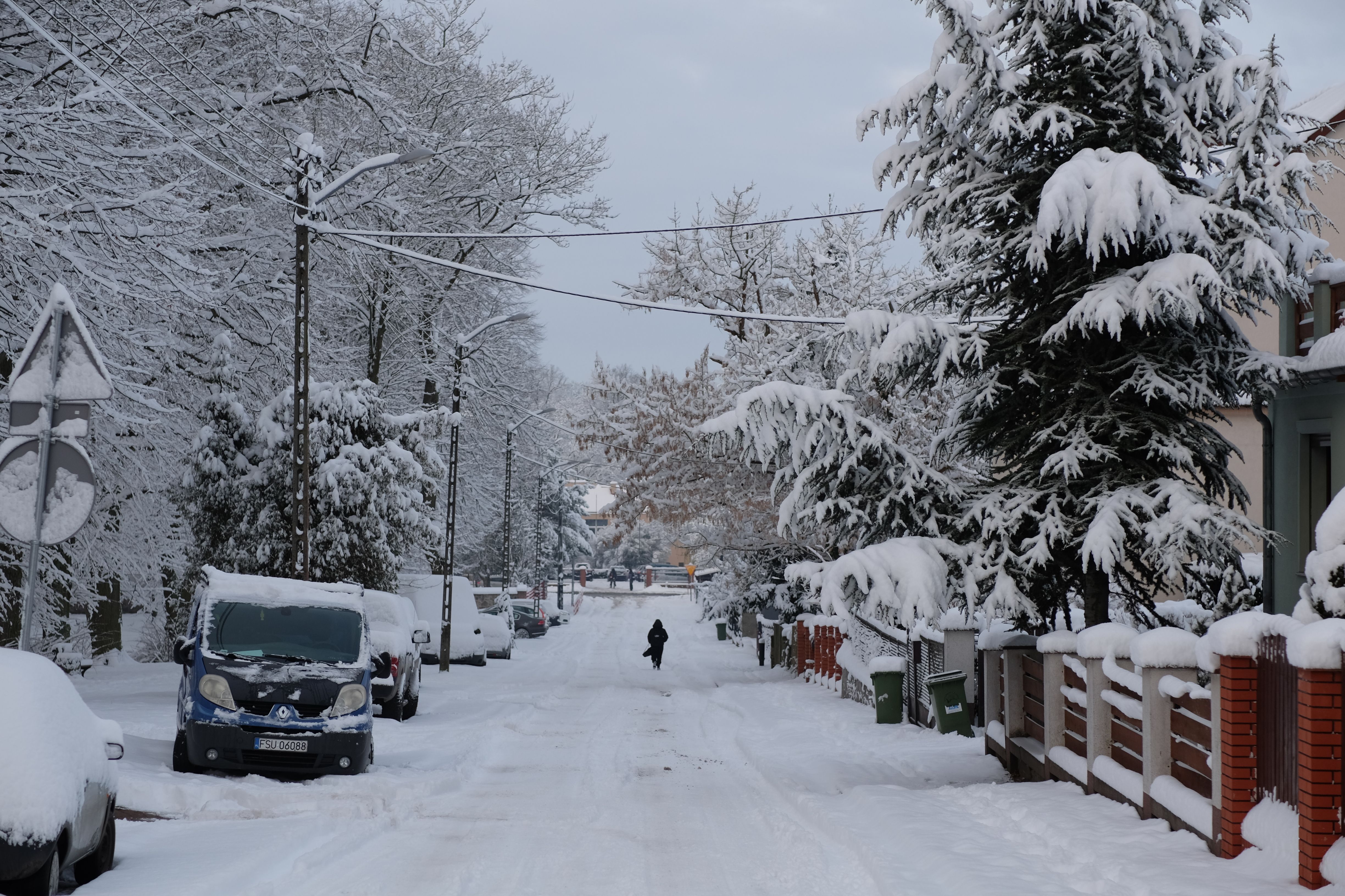 Snowy Winter Street Scene with Tree-lined Avenue · Free Stock Photo
