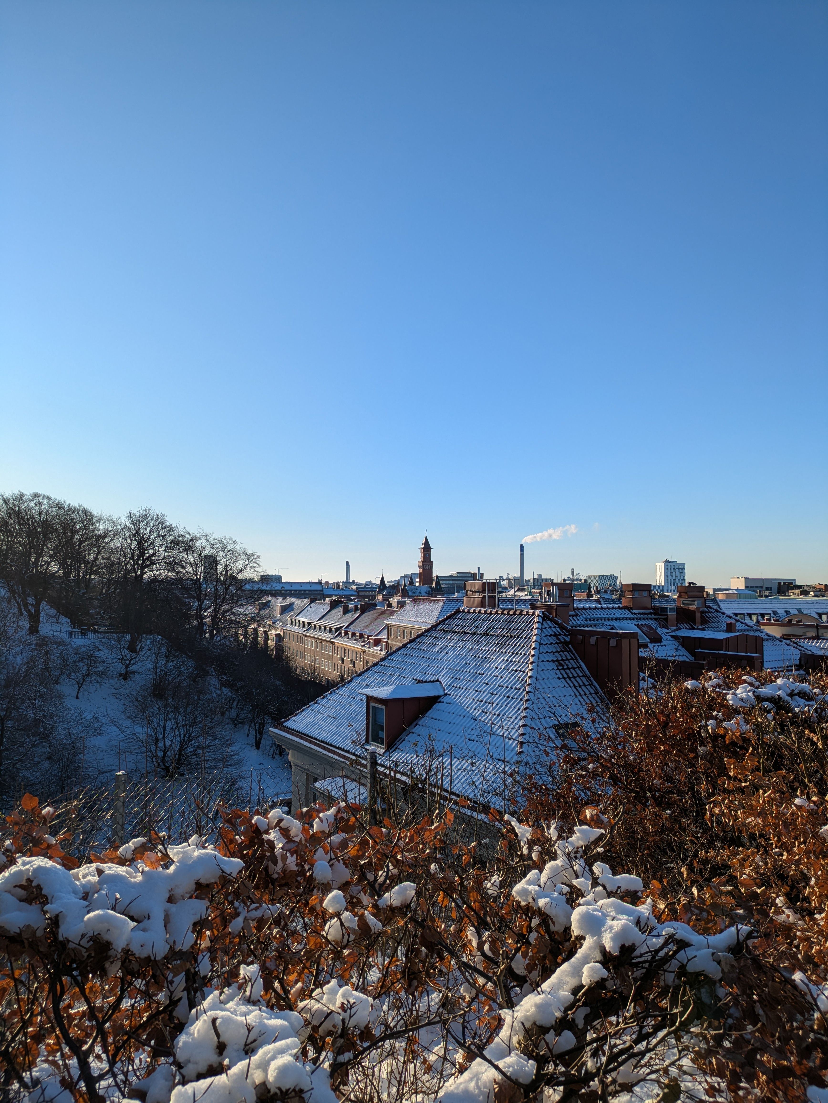 Snow-Covered Urban Rooftops in Winter Sunshine · Free Stock Photo