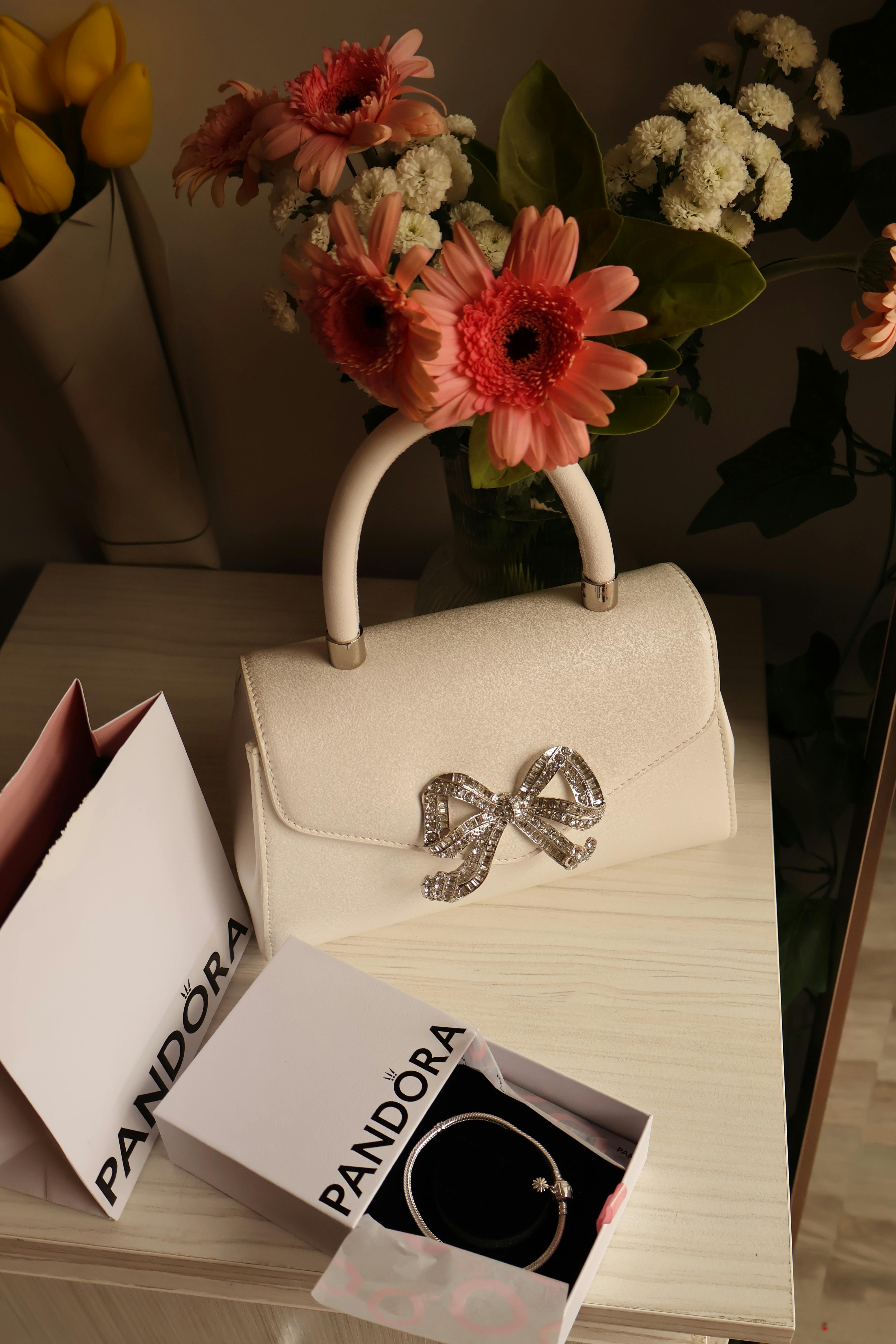 Elegant Handbag with Pandora Jewelry Display · Free Stock Photo