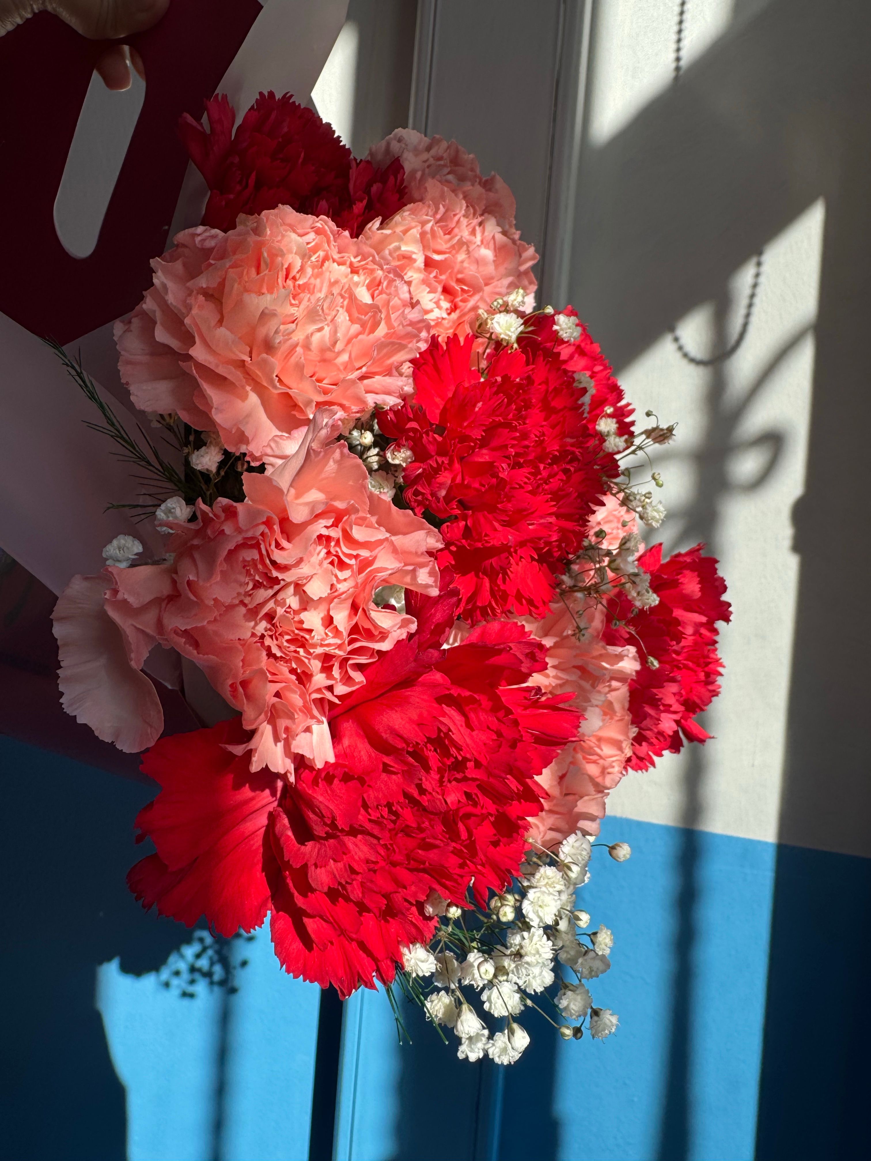 Vibrant Bouquet of Carnations with Baby's Breath in Sunlight · Free ...