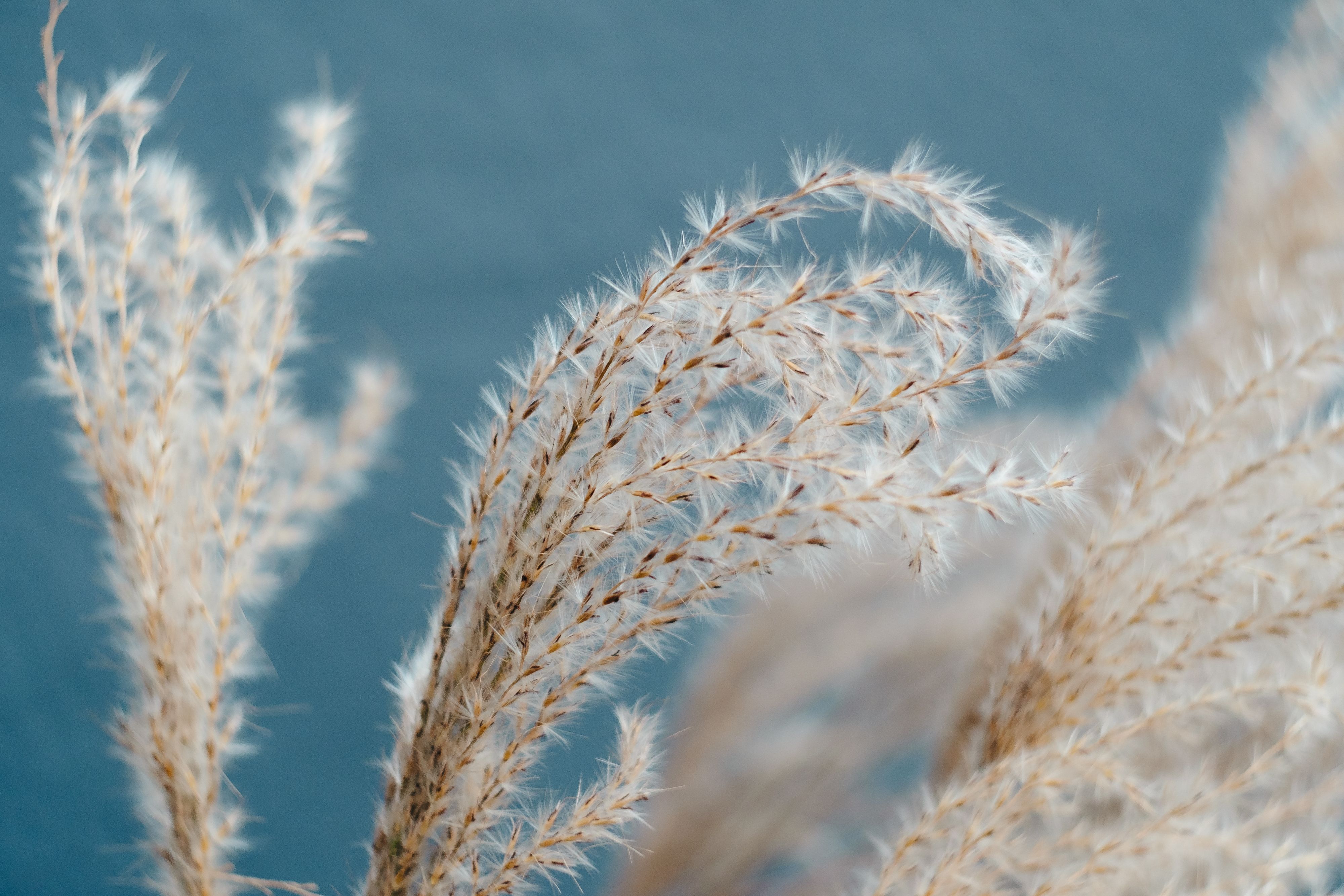 Aesthetic Background Offwhite Photos, Download The BEST Free Aesthetic ...