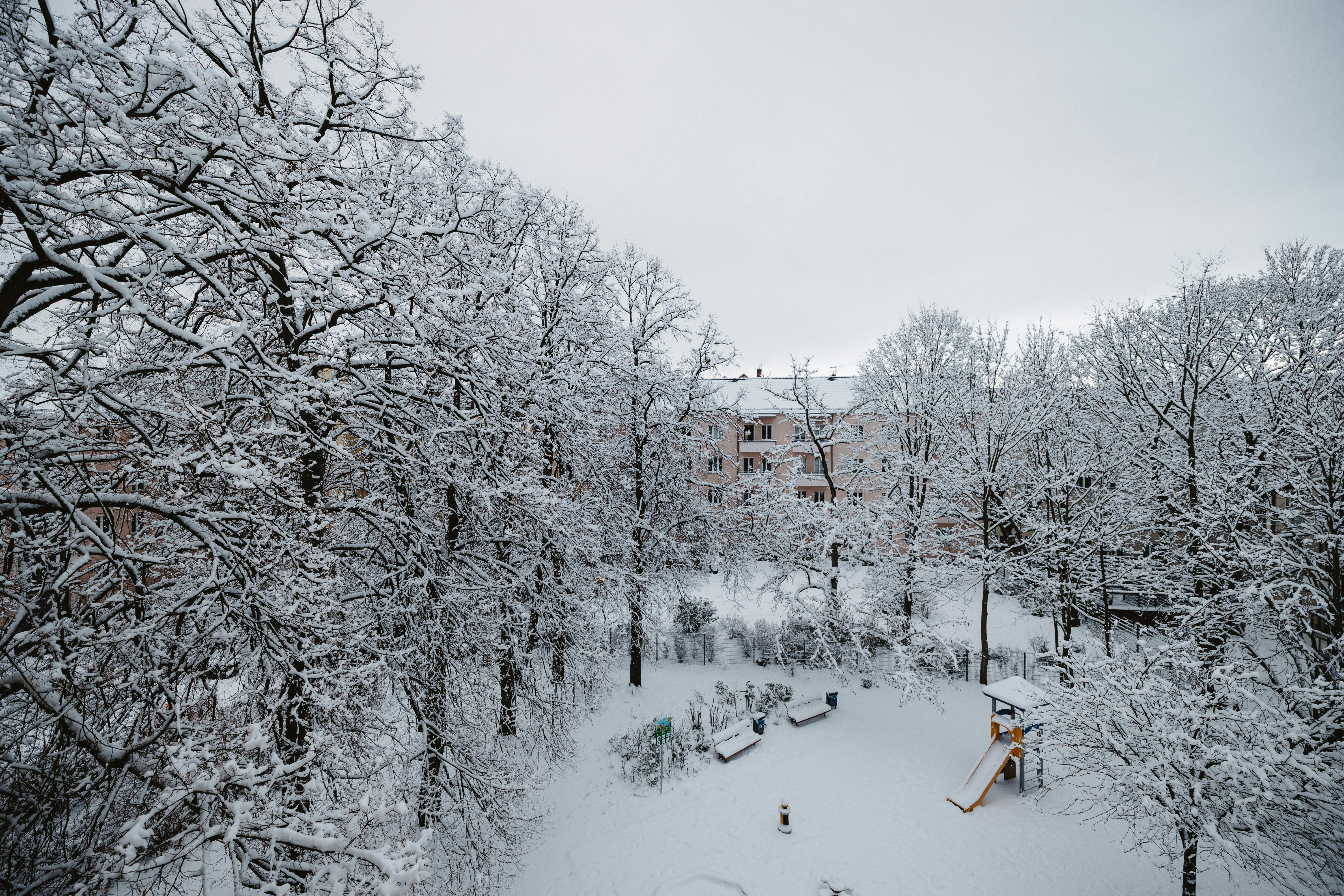 Winter Wonderland in Berlin Snow-Covered Park · Free Stock Photo