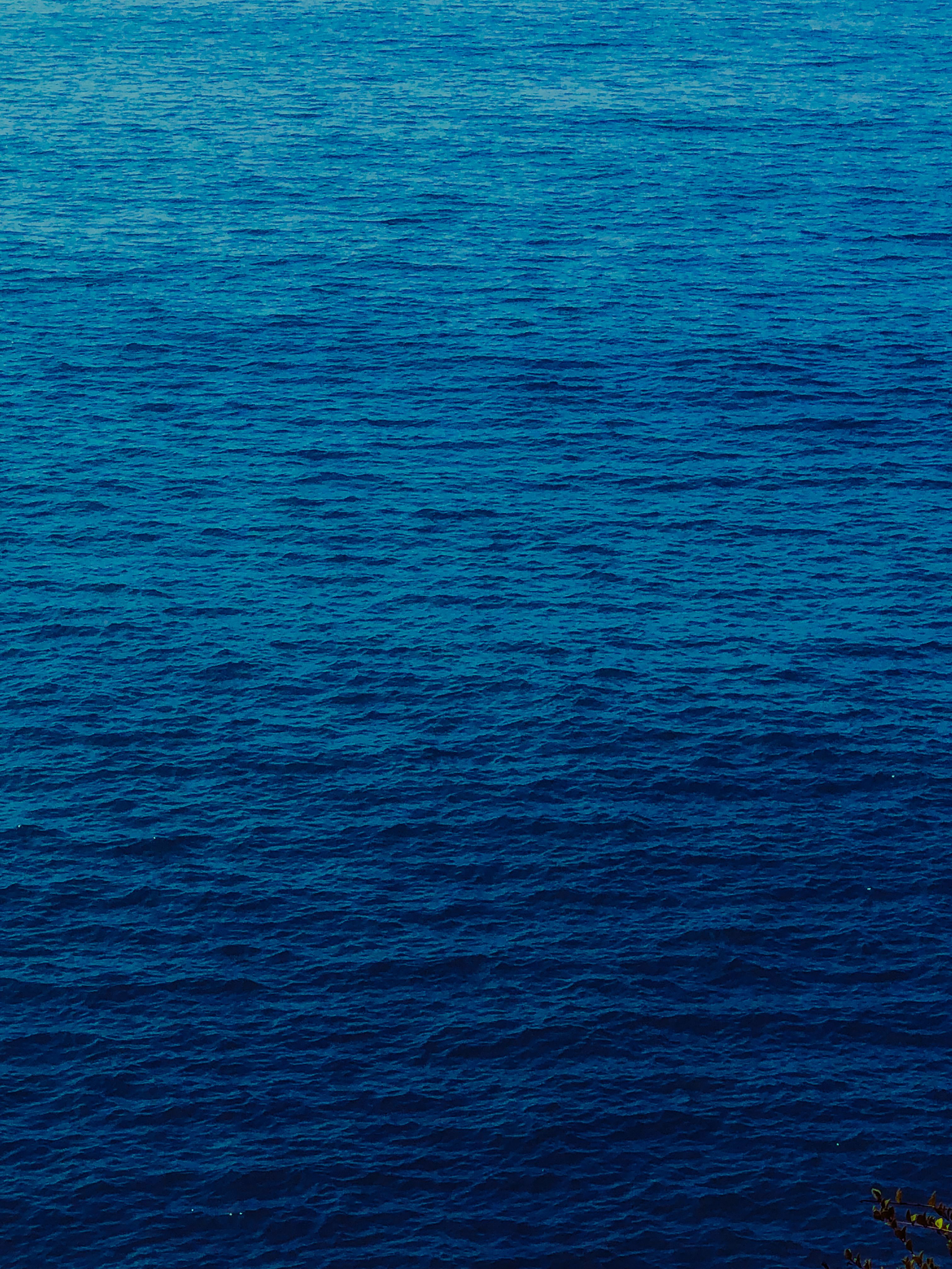 Serene Blue Ocean Surface at Goa, India · Free Stock Photo