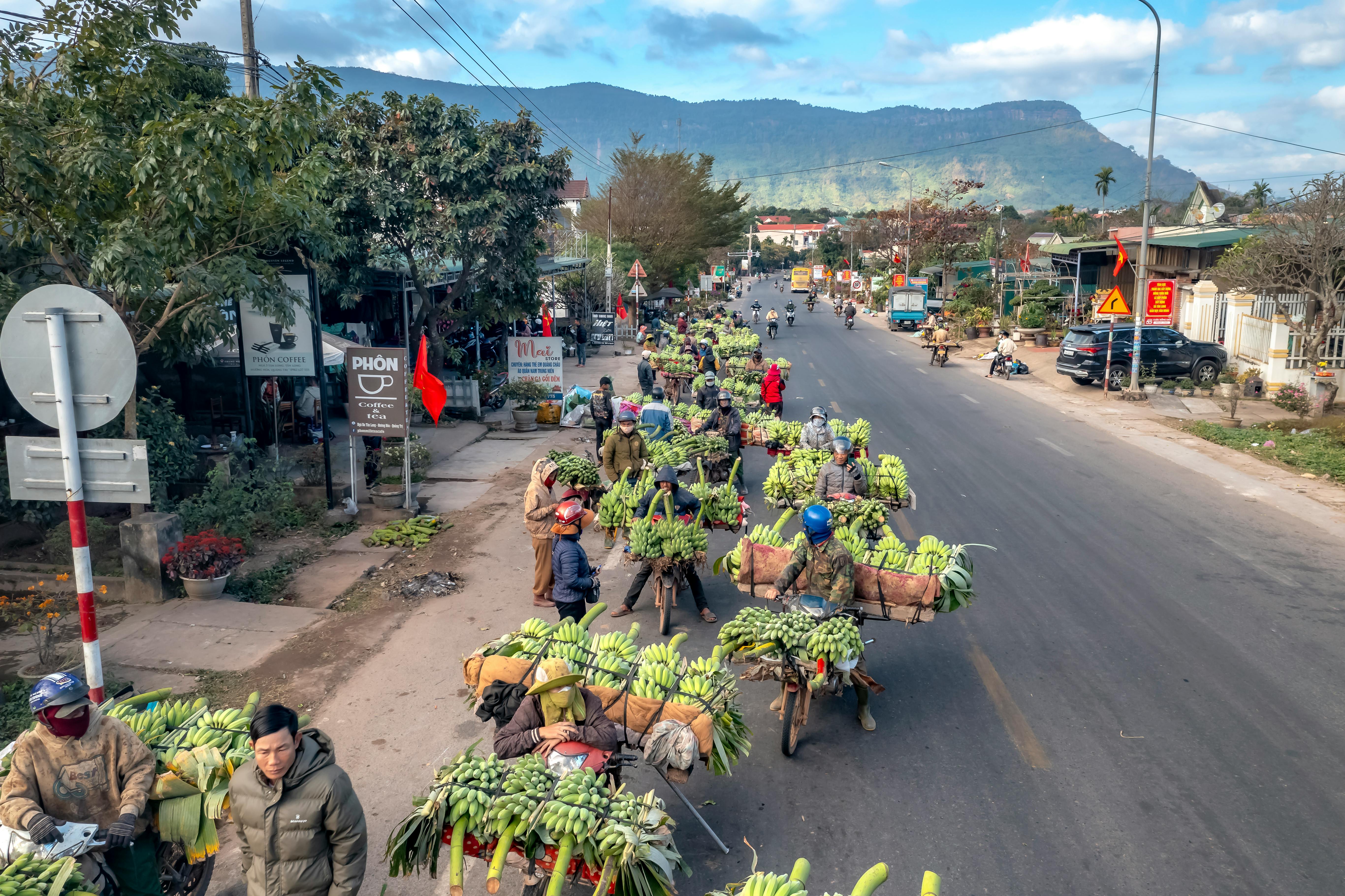Farmer Market Vendors Photos, Download The BEST Free Farmer Market ...