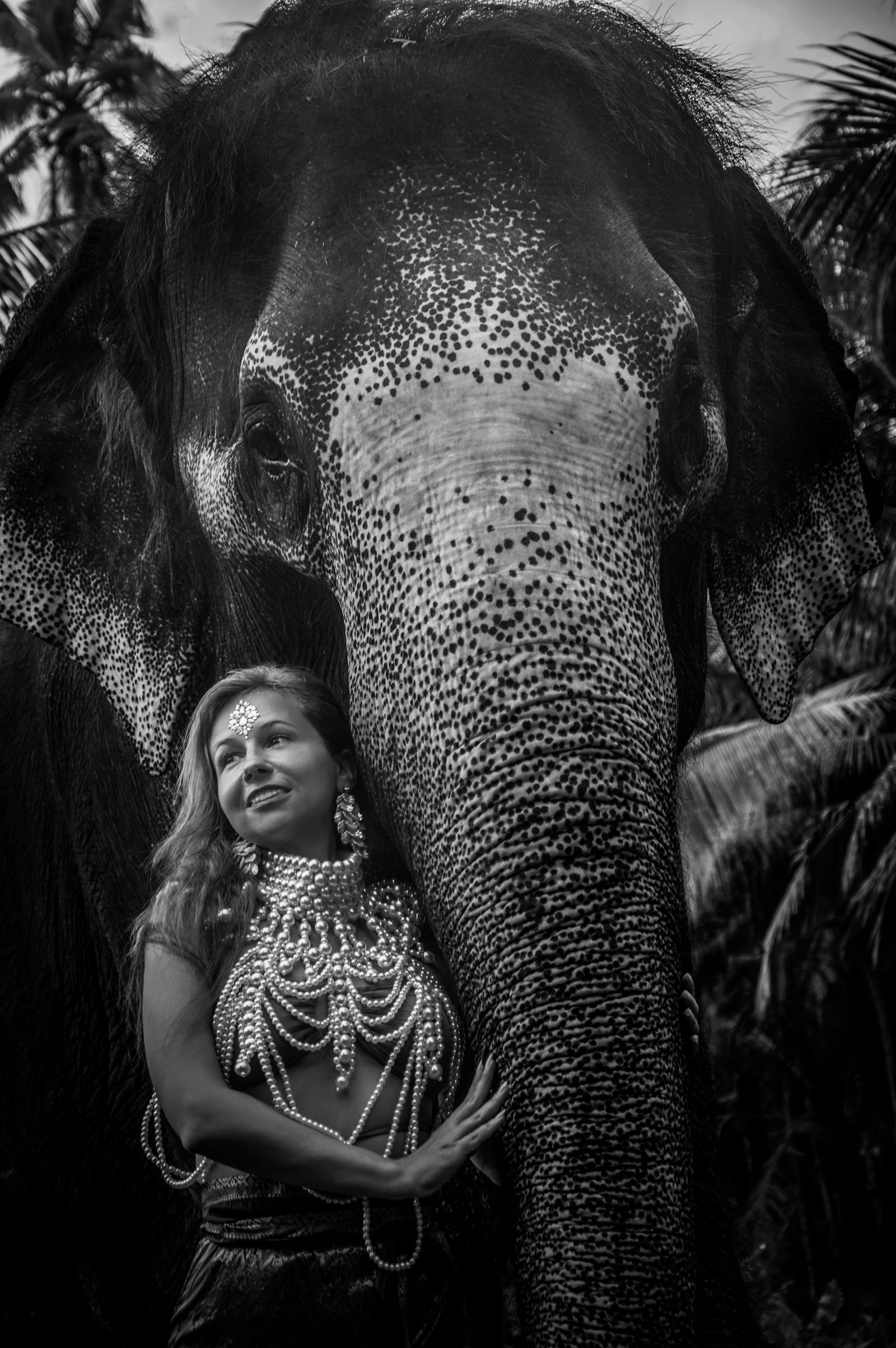 Black And White India Map Photos, Download The BEST Free Black And ...