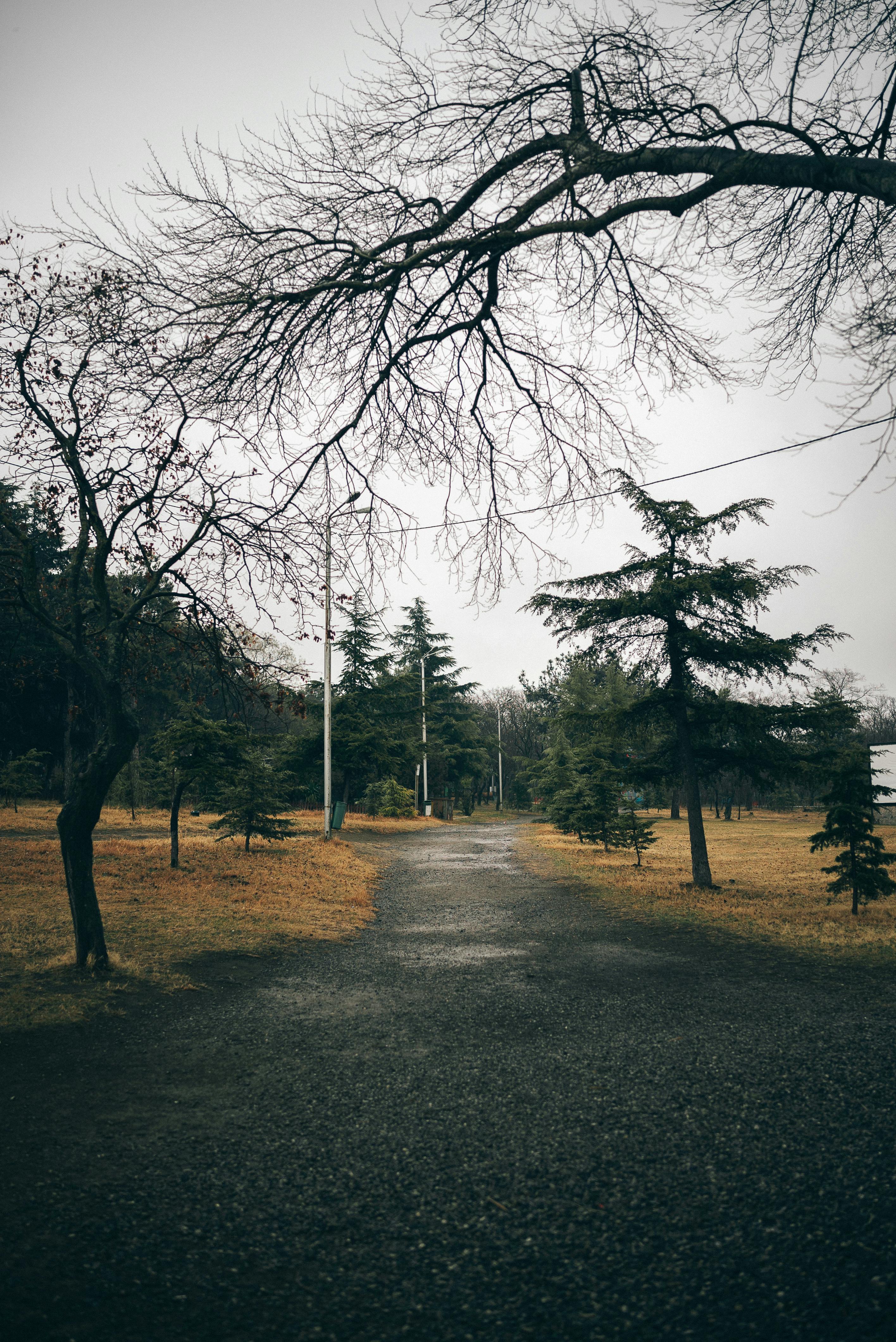 Maria Mellow Photos, Download The BEST Free Maria Mellow Stock Photos ...