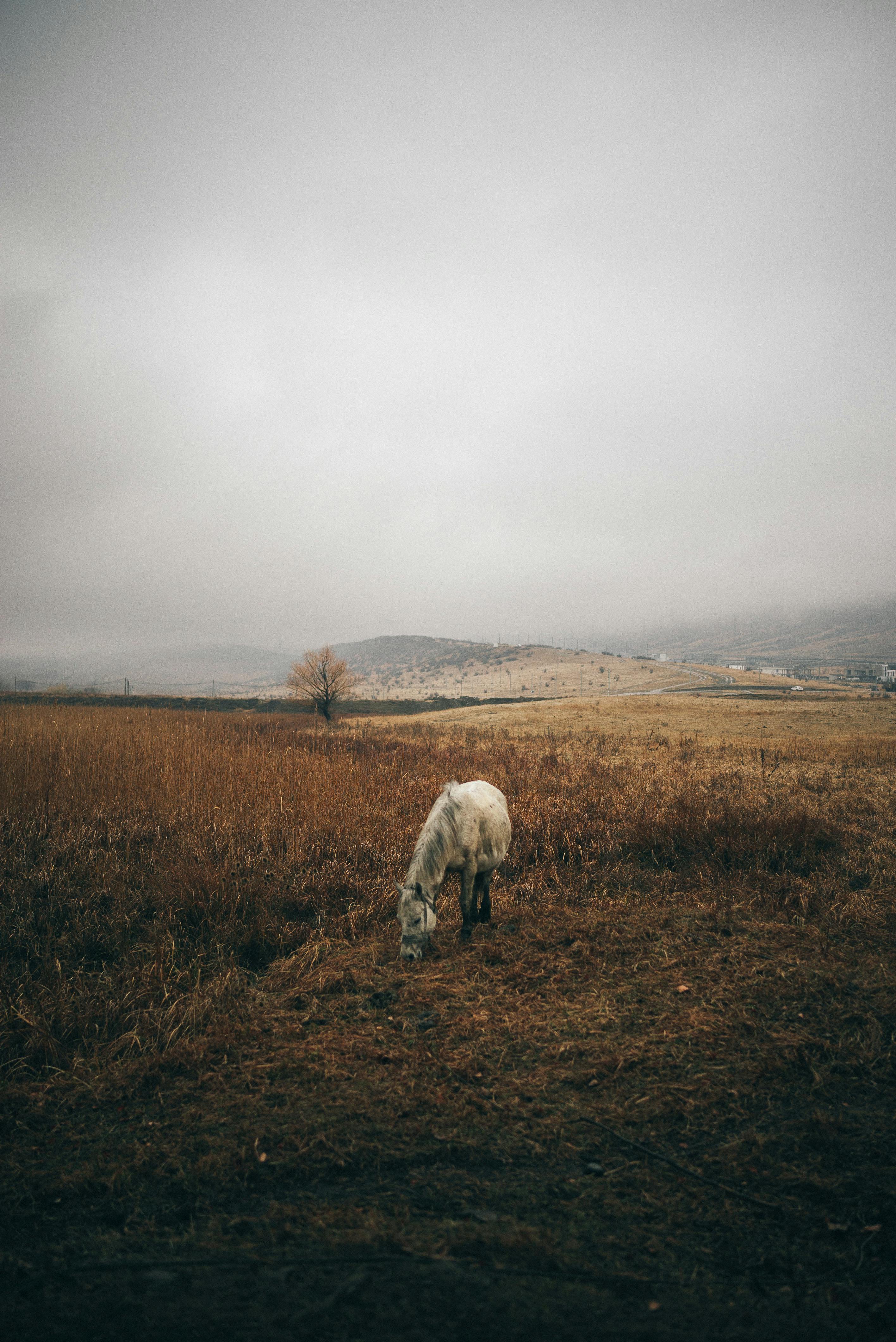 Simple Landscape Photos, Download The BEST Free Simple Landscape Stock ...