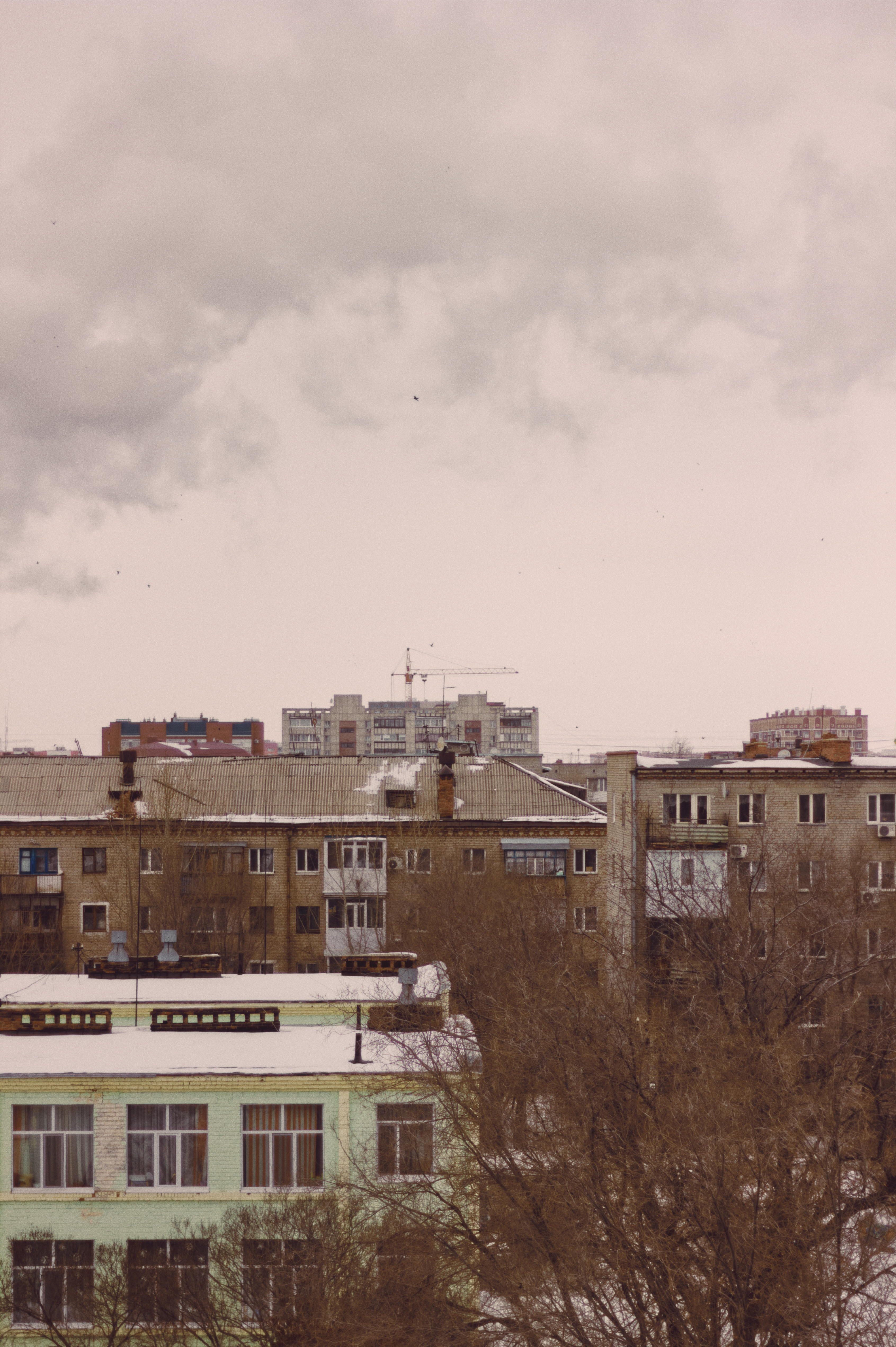 Urban Winter Cityscape with Snow-Covered Buildings · Free Stock Photo