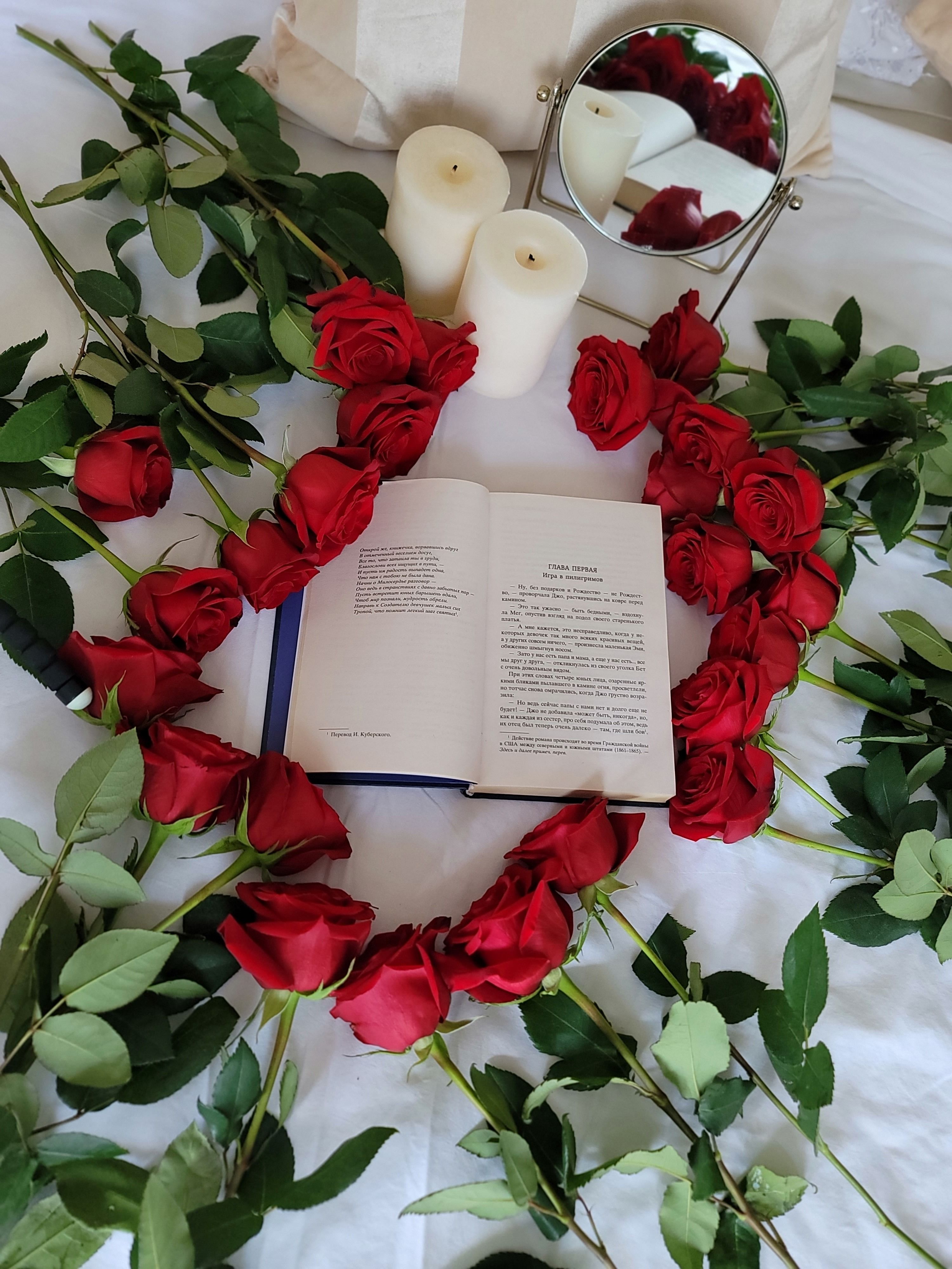 Romantic Still Life with Book and Roses · Free Stock Photo