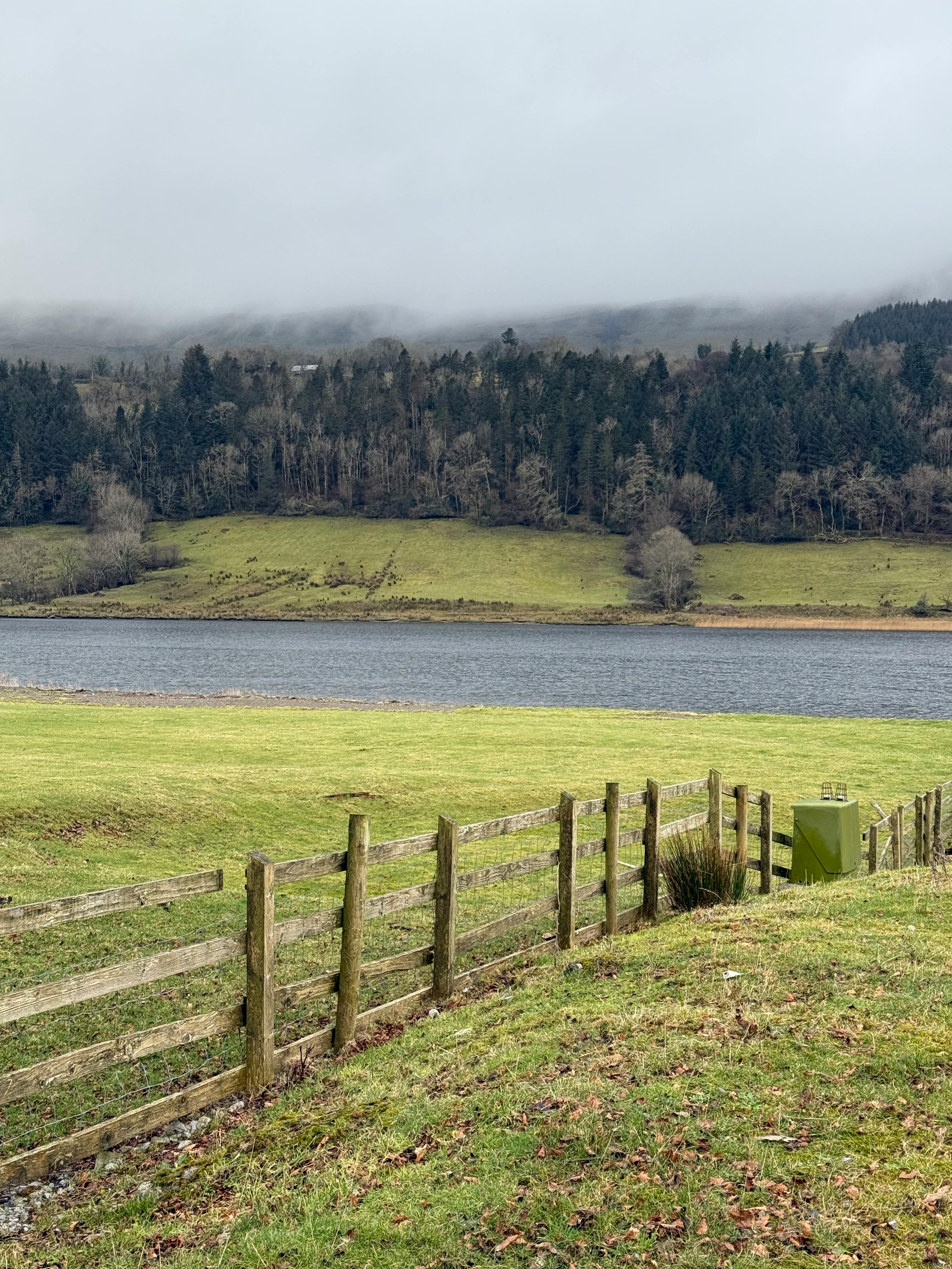 Scenic Irish Landscape with Misty Forest · Free Stock Photo