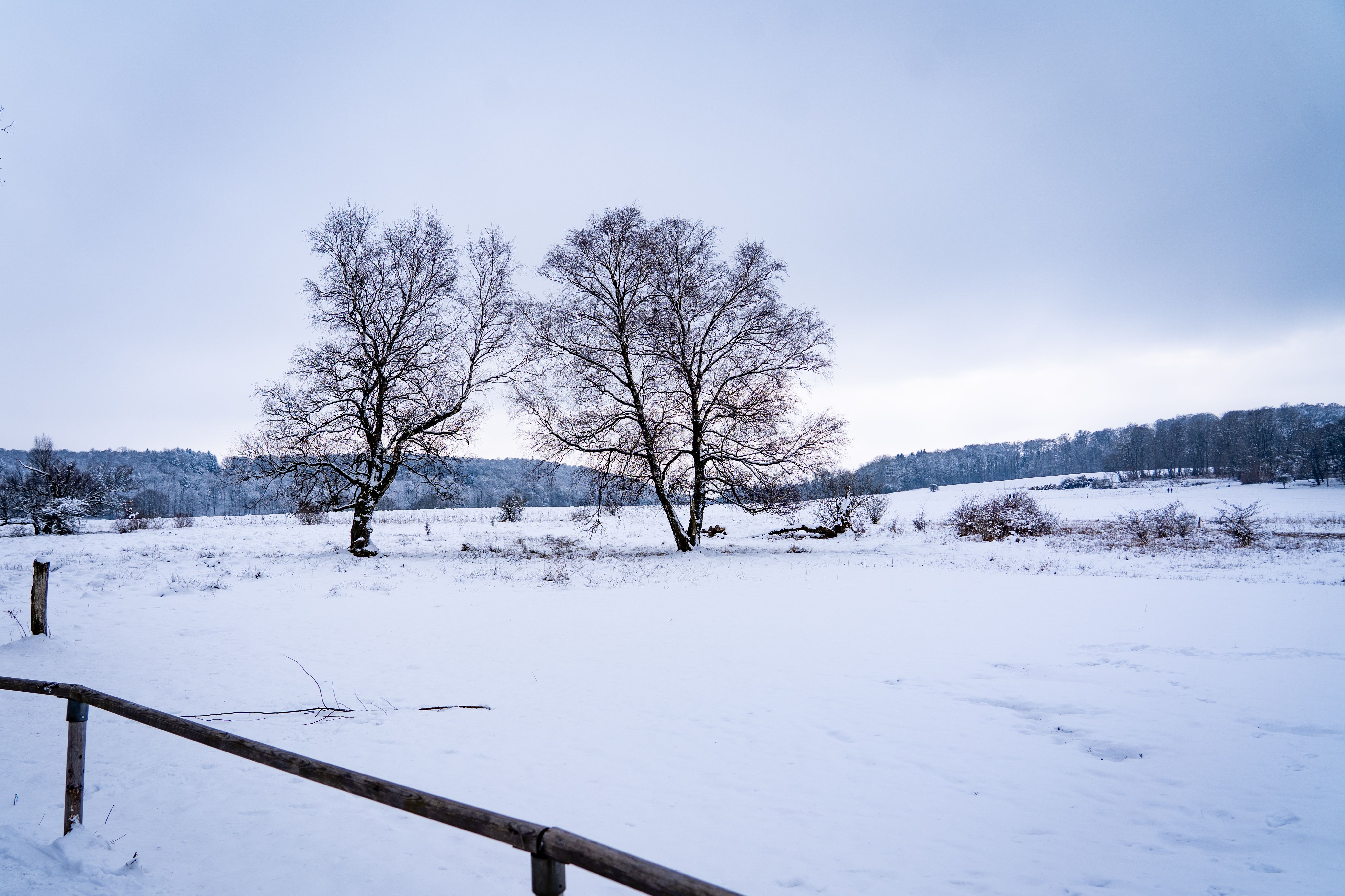 Snowy Winter Landscape in Lenningen, Germany · Free Stock Photo