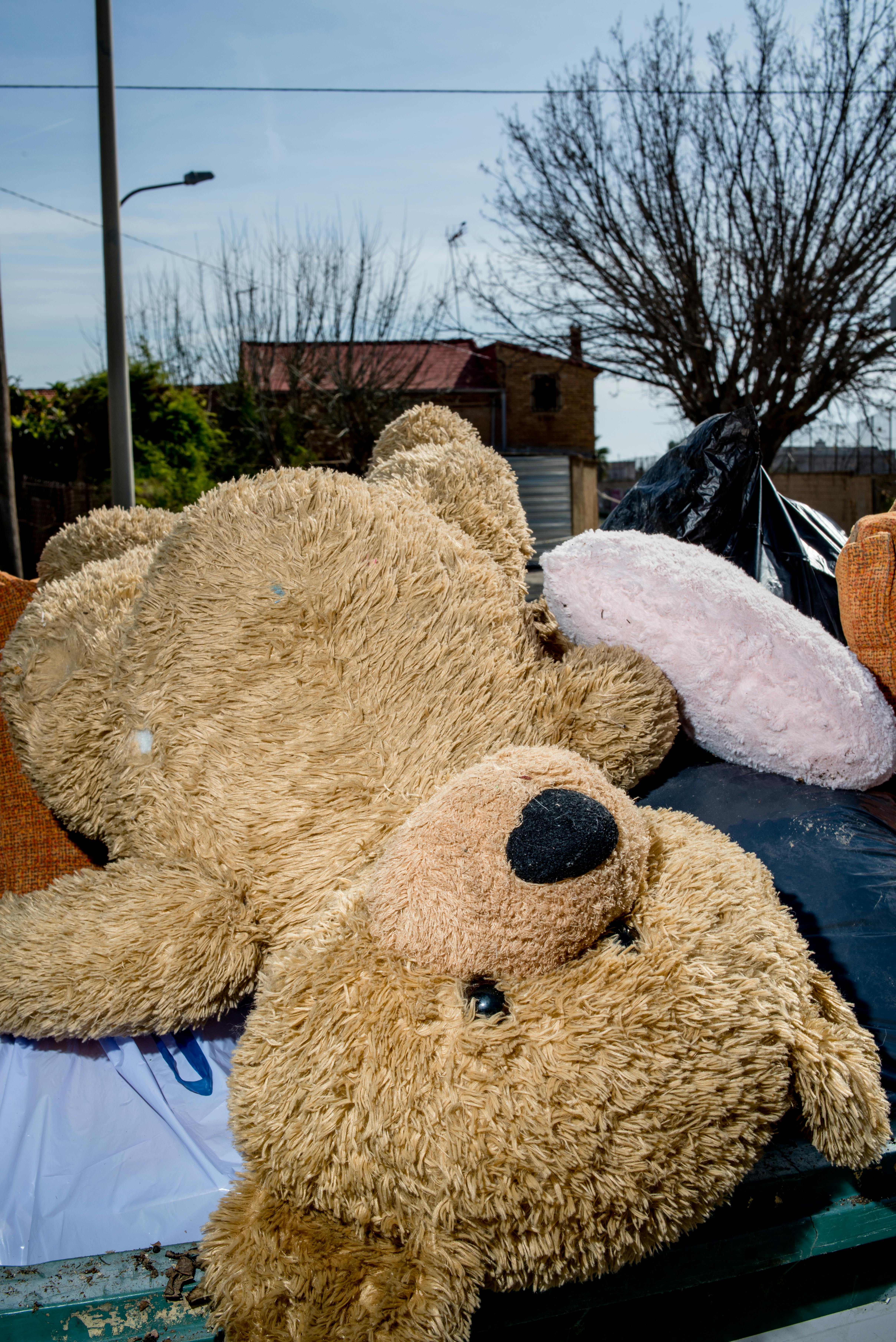 Large Teddy Bear Discarded Outdoors on Sunny Day · Free Stock Photo