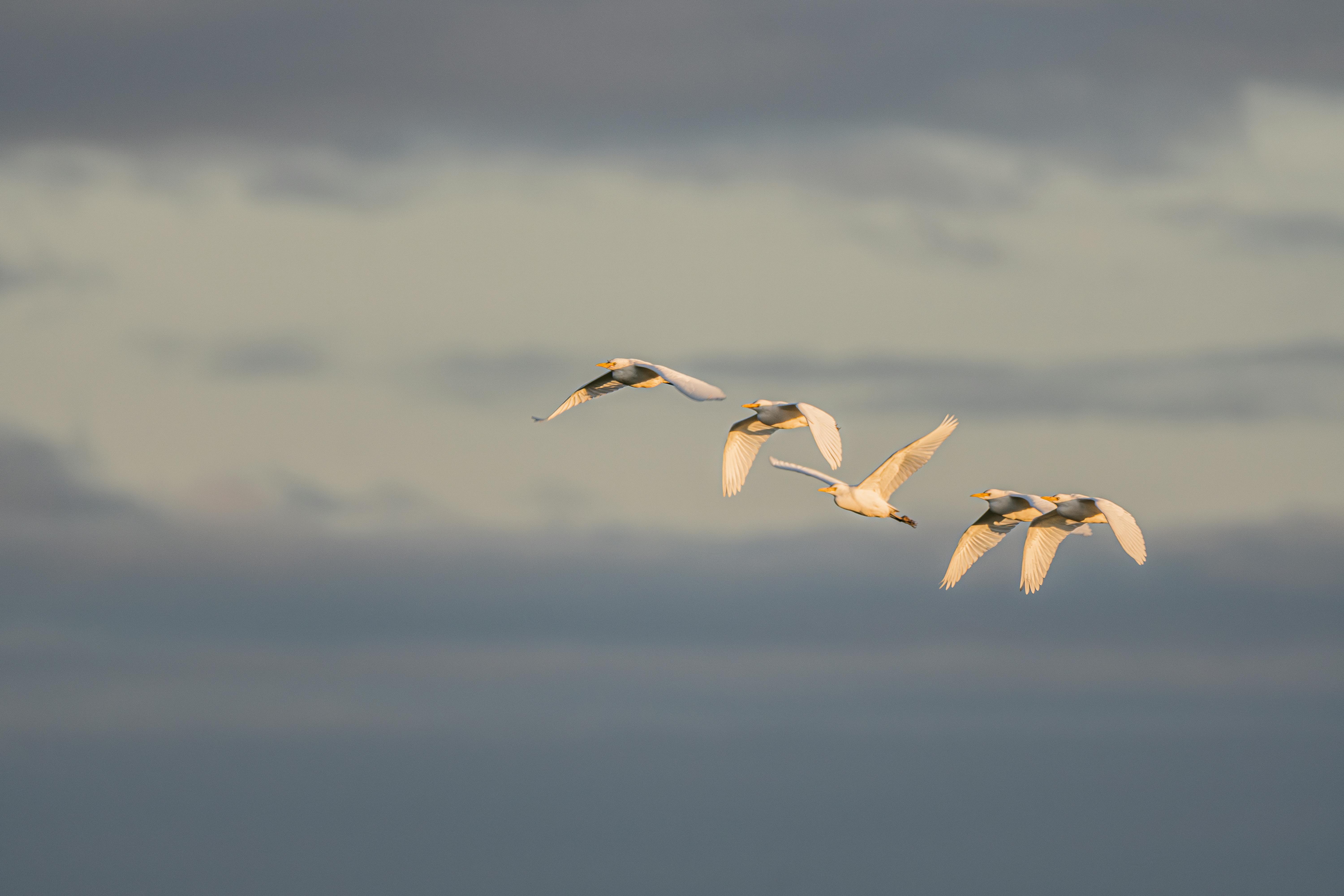 Free Stock Photos Art Photos, Download The BEST Free Free Stock Photos ...