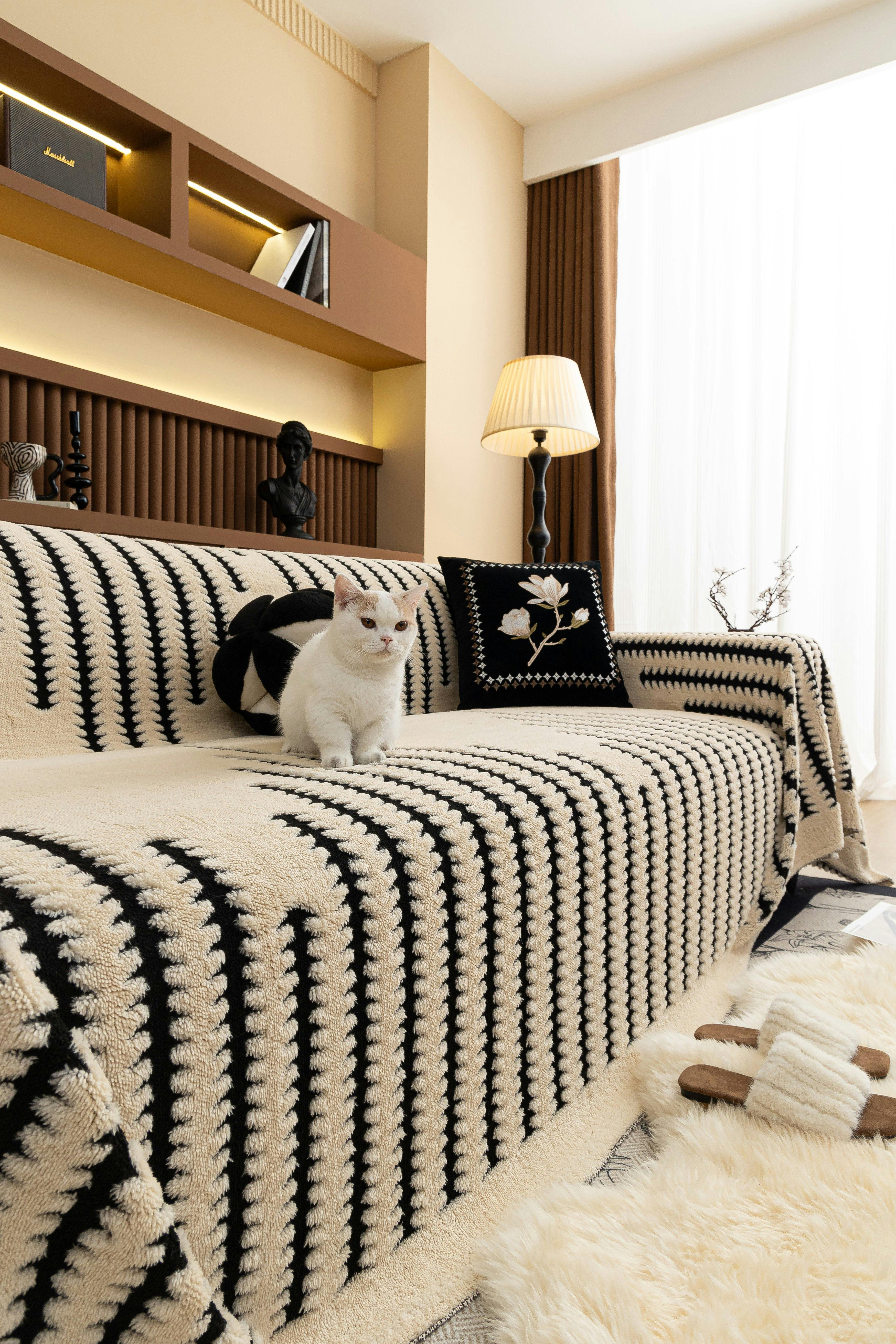 Stylish Living Room with Geometric Sofa Cover · Free Stock Photo