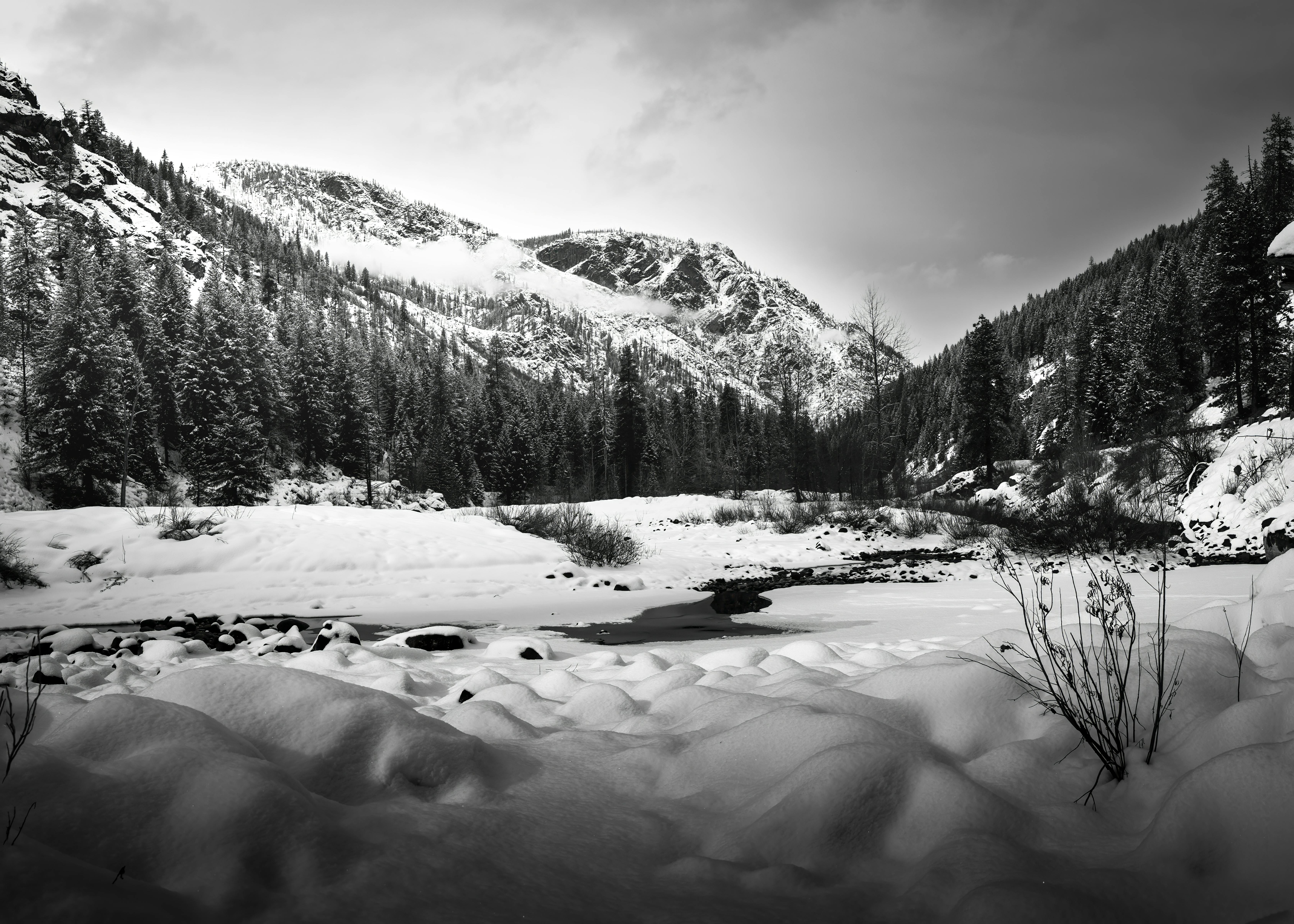 Washington Rivier Photos, Download The BEST Free Washington Rivier ...