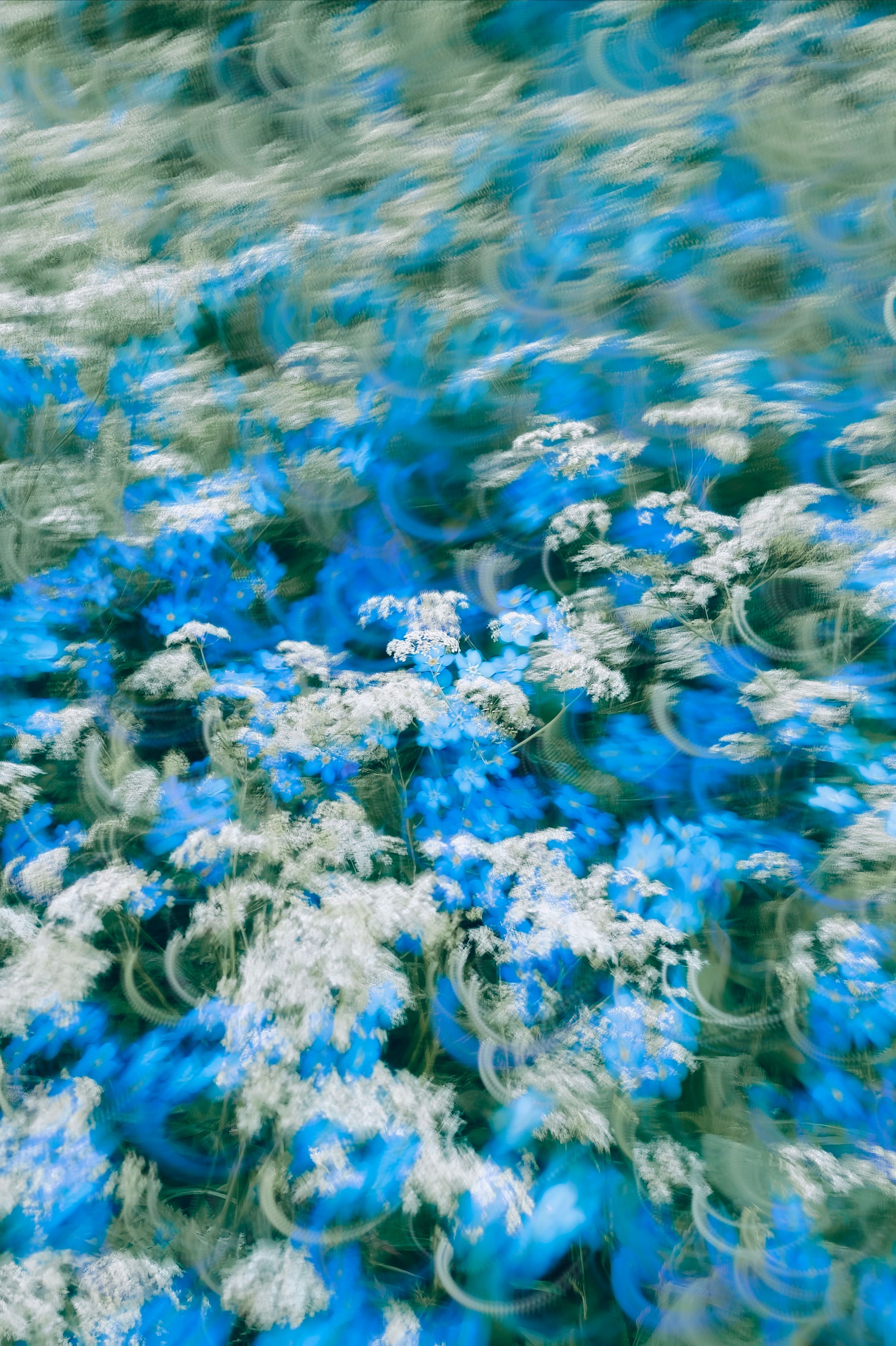 Botanical Abstraction Photos, Download The BEST Free Botanical ...