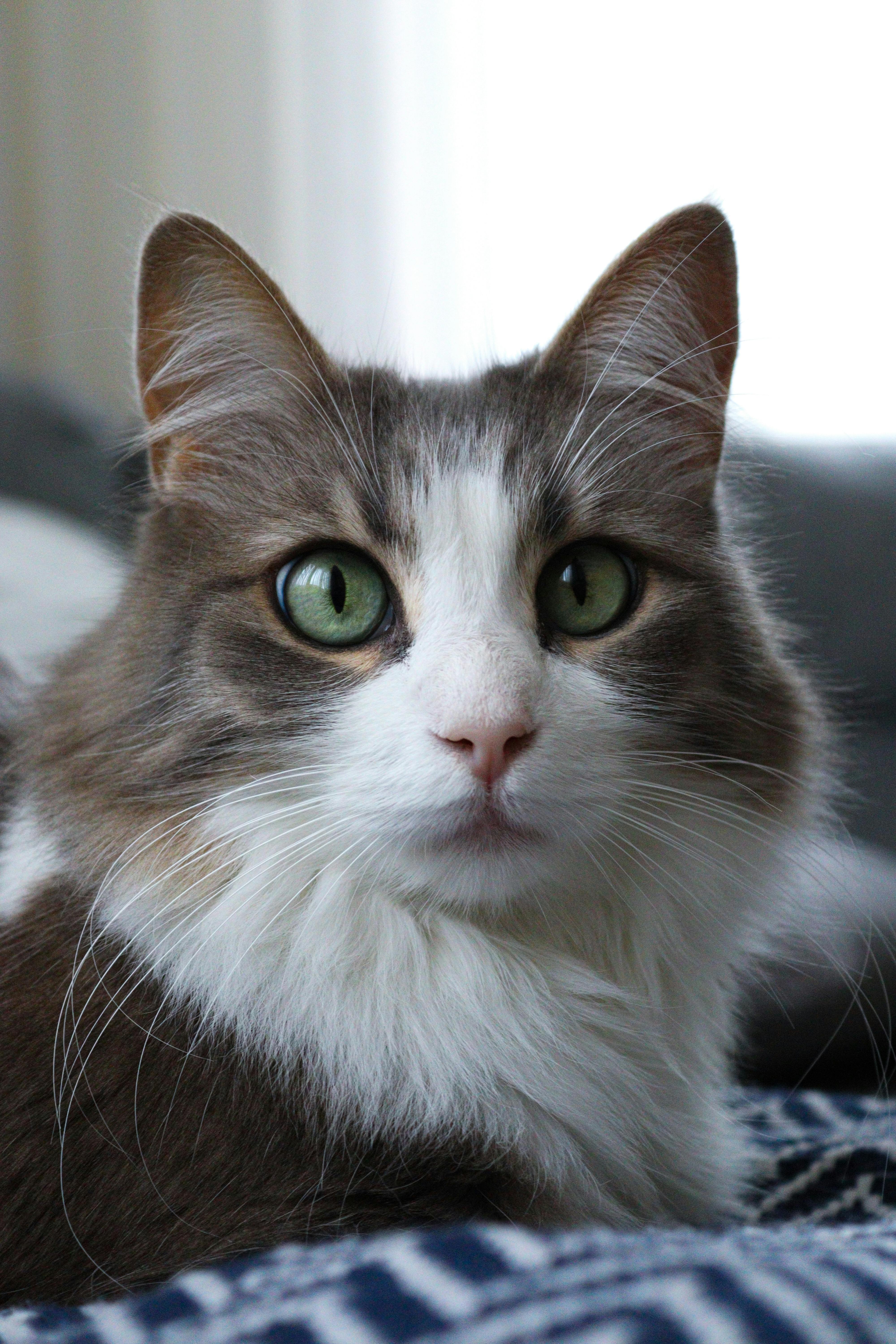 Akif Er - Photography