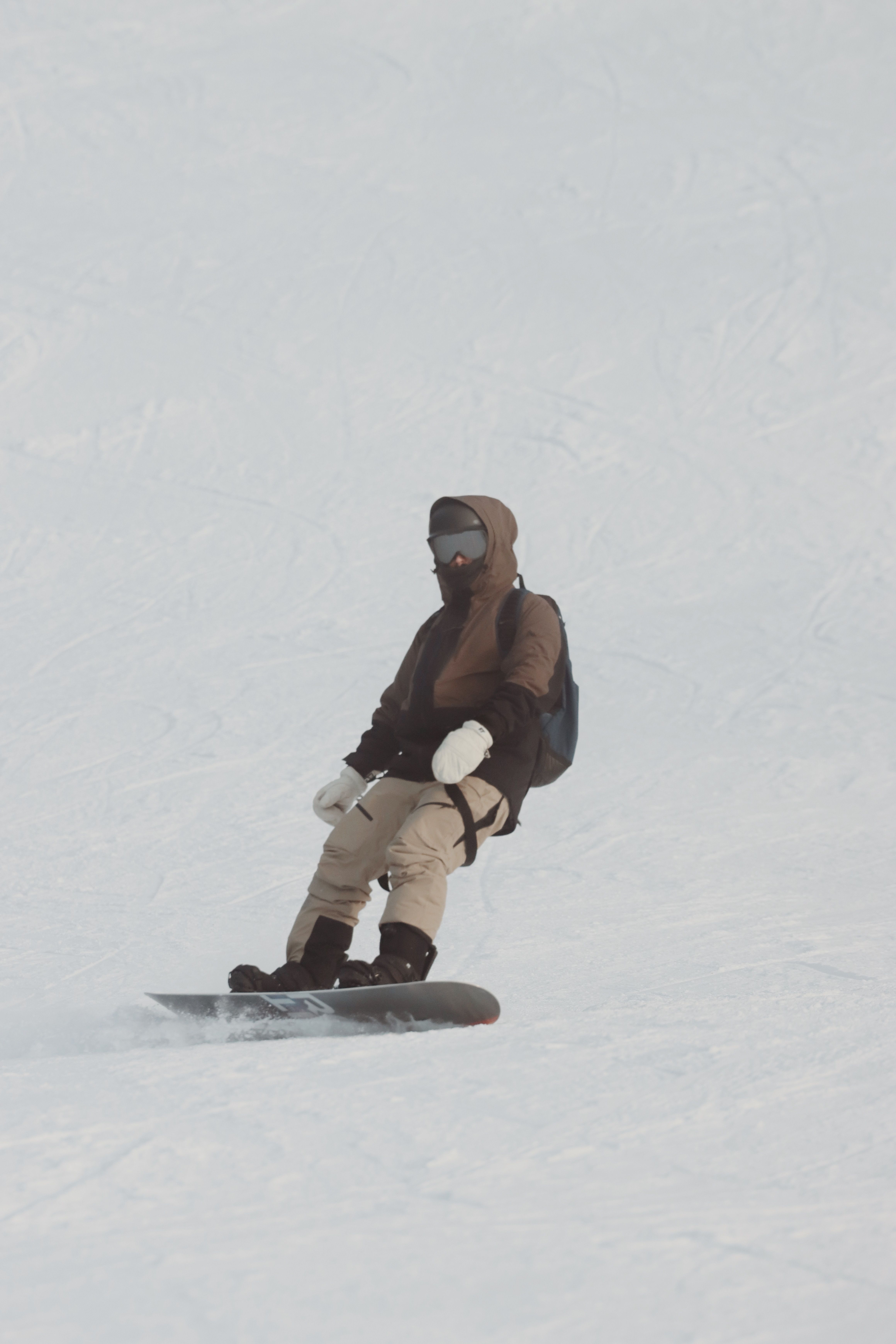 Exciting Snowboarding Adventure in Sweden · Free Stock Photo