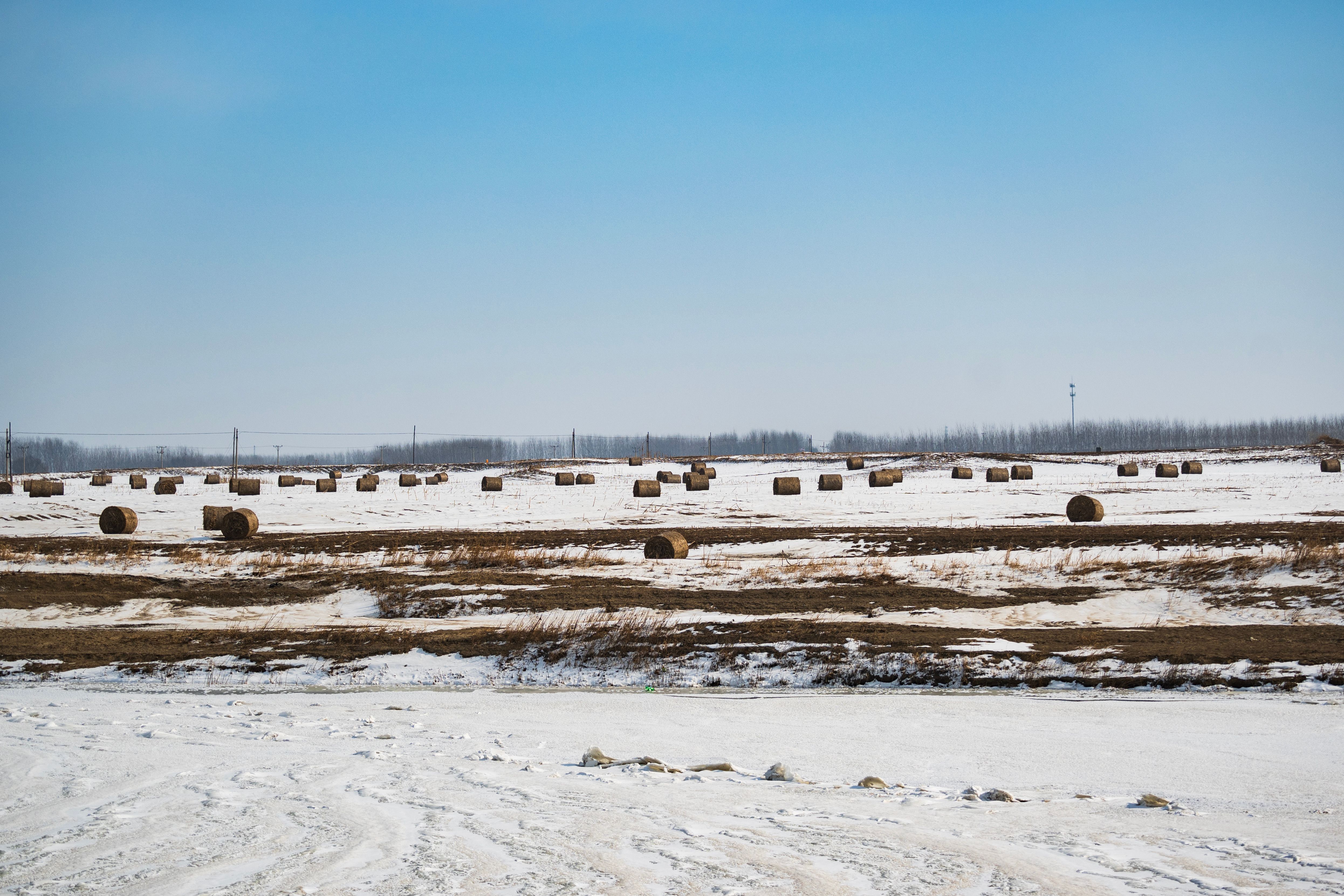 Snowy Field with Hay Bales under Clear Blue Sky · Free Stock Photo