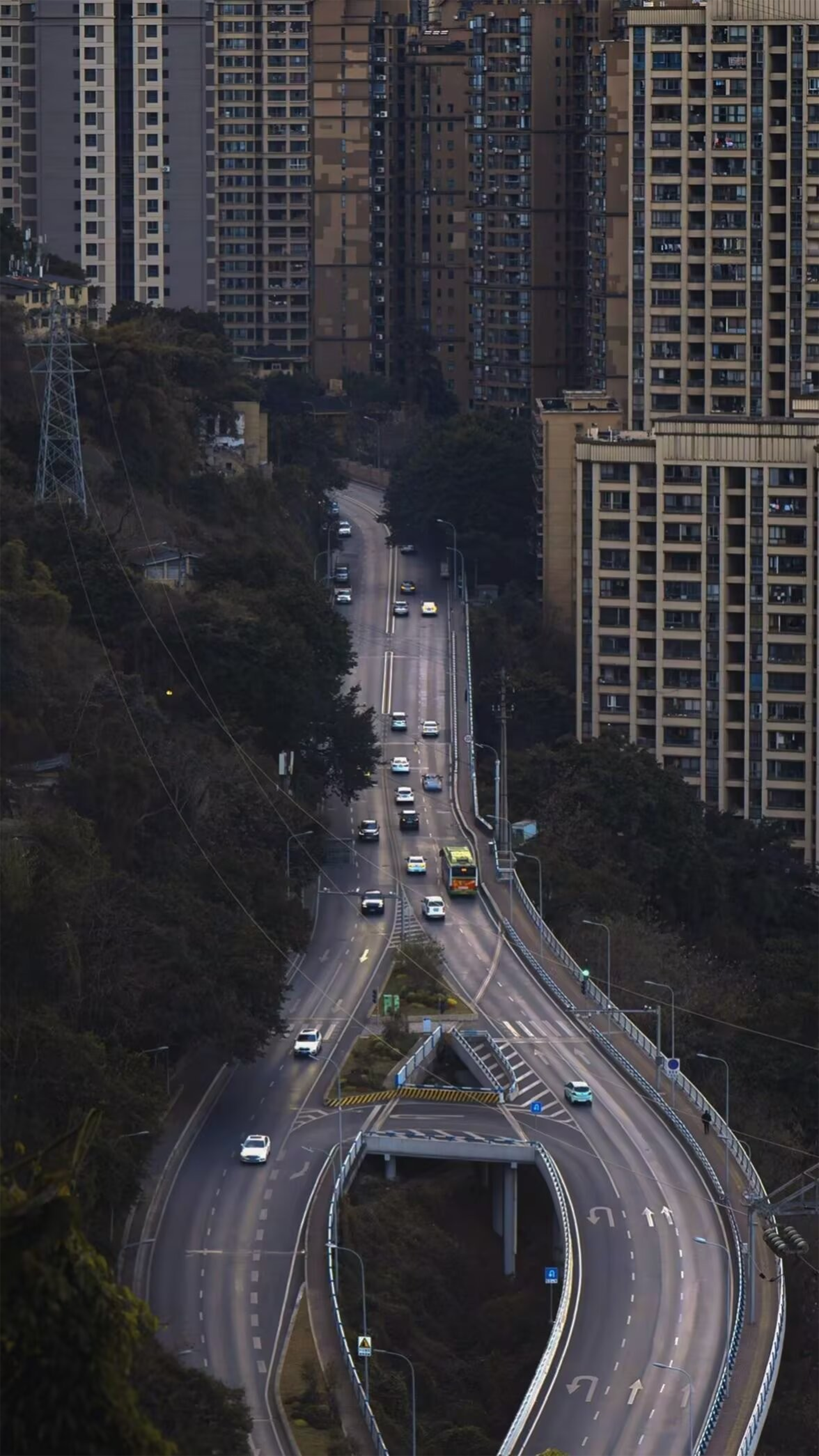Urban Highway through Modern Skyscrapers · Free Stock Photo