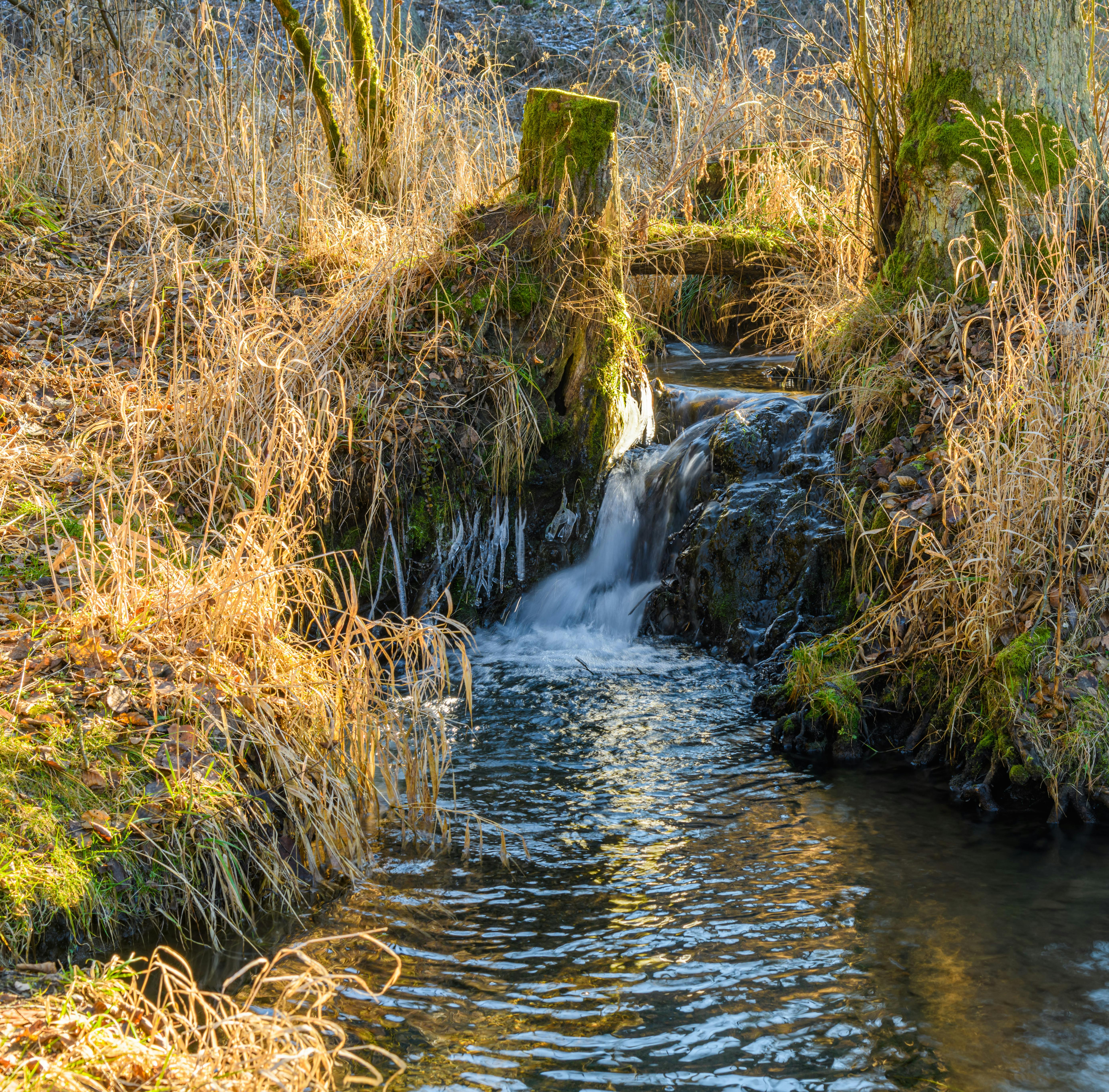 Photo of Waterfalls During Fall Season · Free Stock Photo