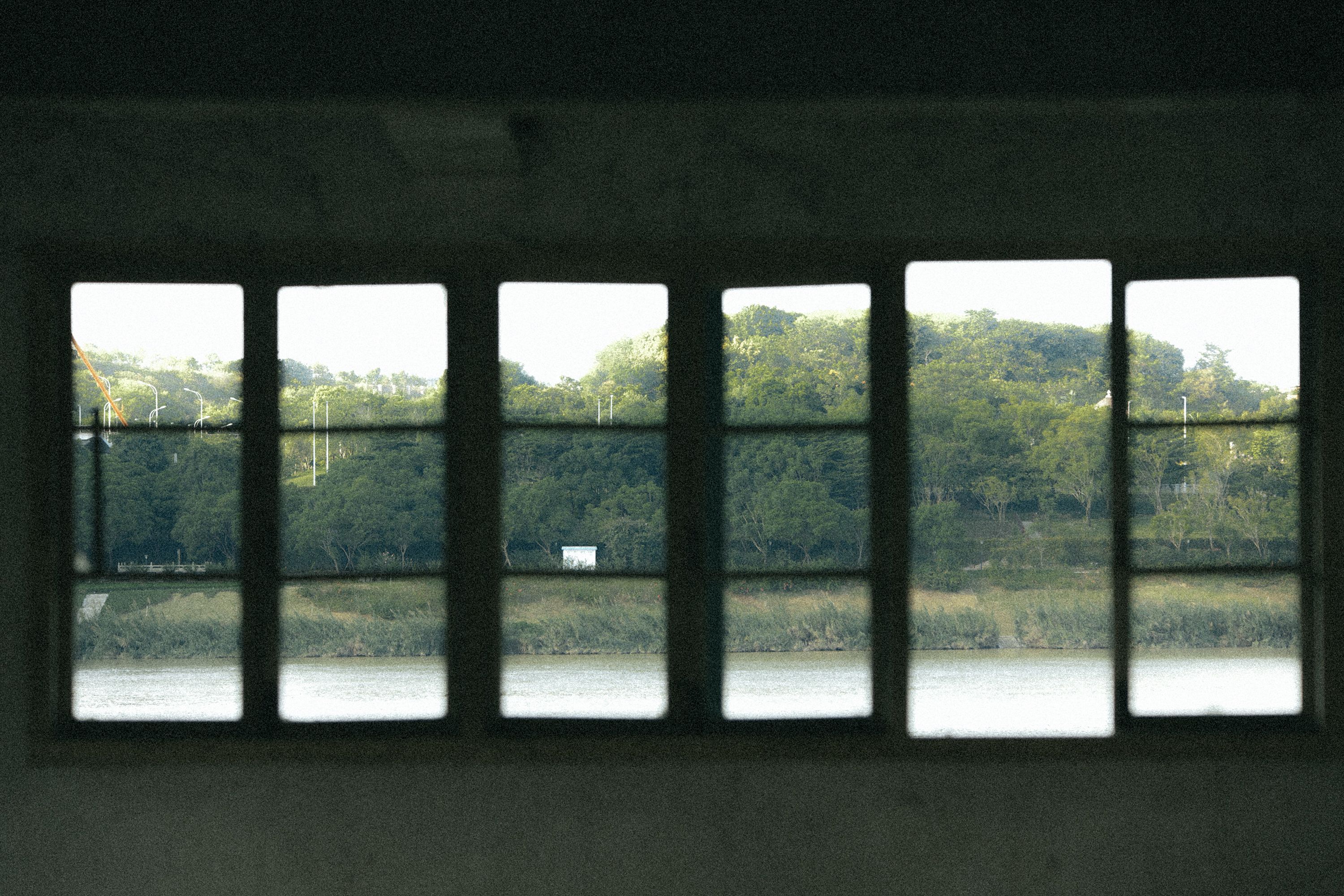 Serene Forest View Through Old Window Frame · Free Stock Photo