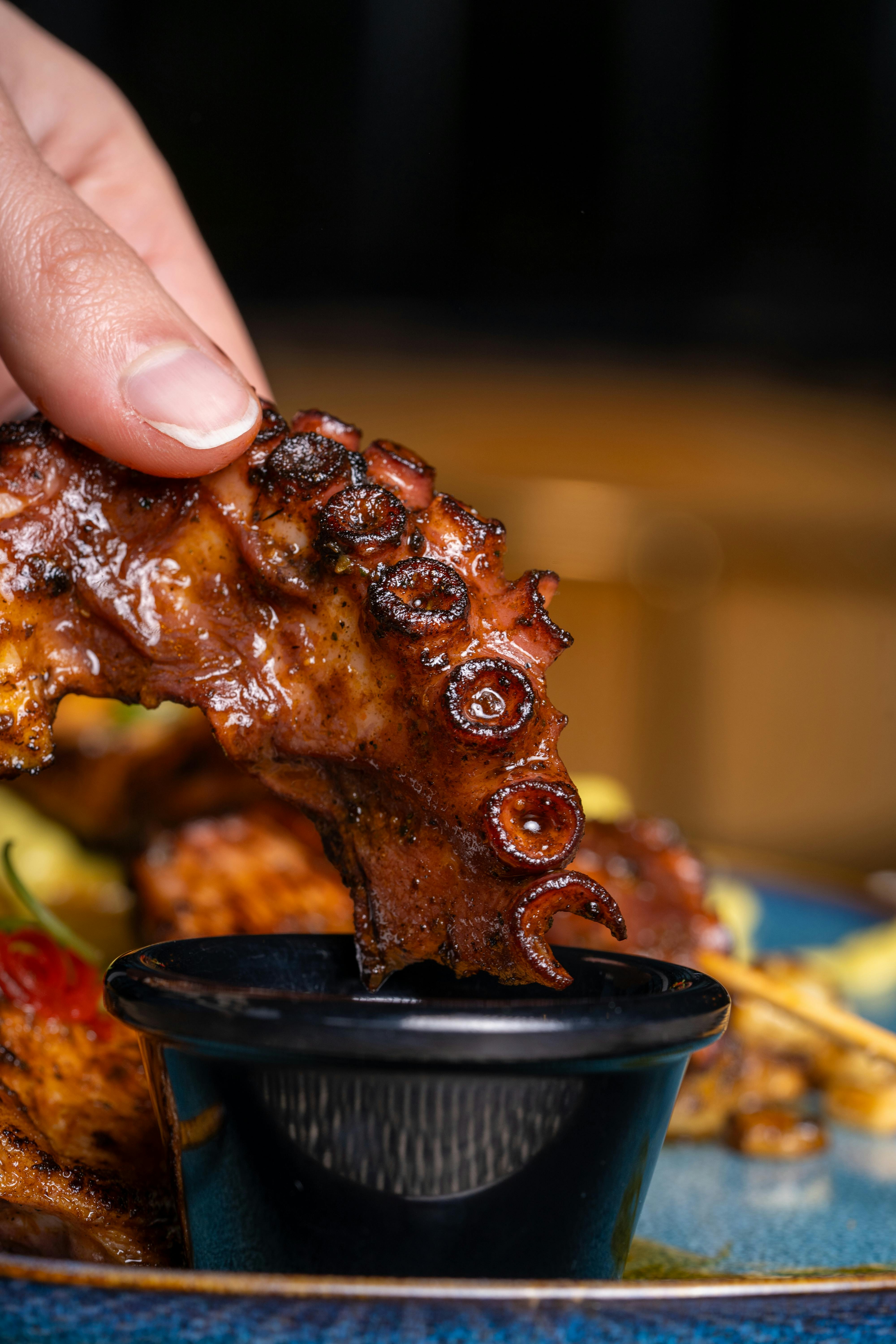 Grilled Octopus Tentacle Dipped in Sauce · Free Stock Photo