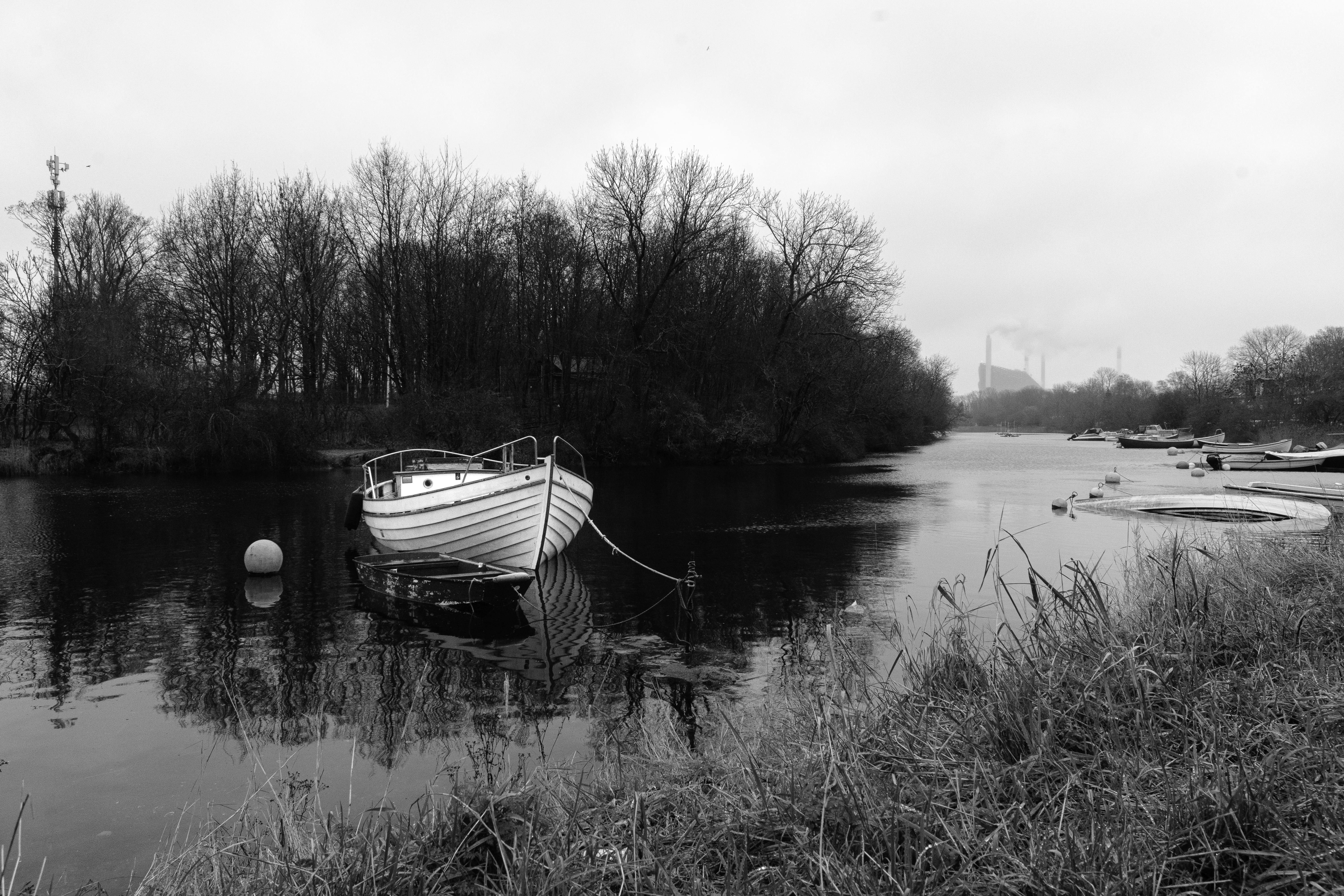 Copenhagen River Photos, Download The BEST Free Copenhagen River Stock ...