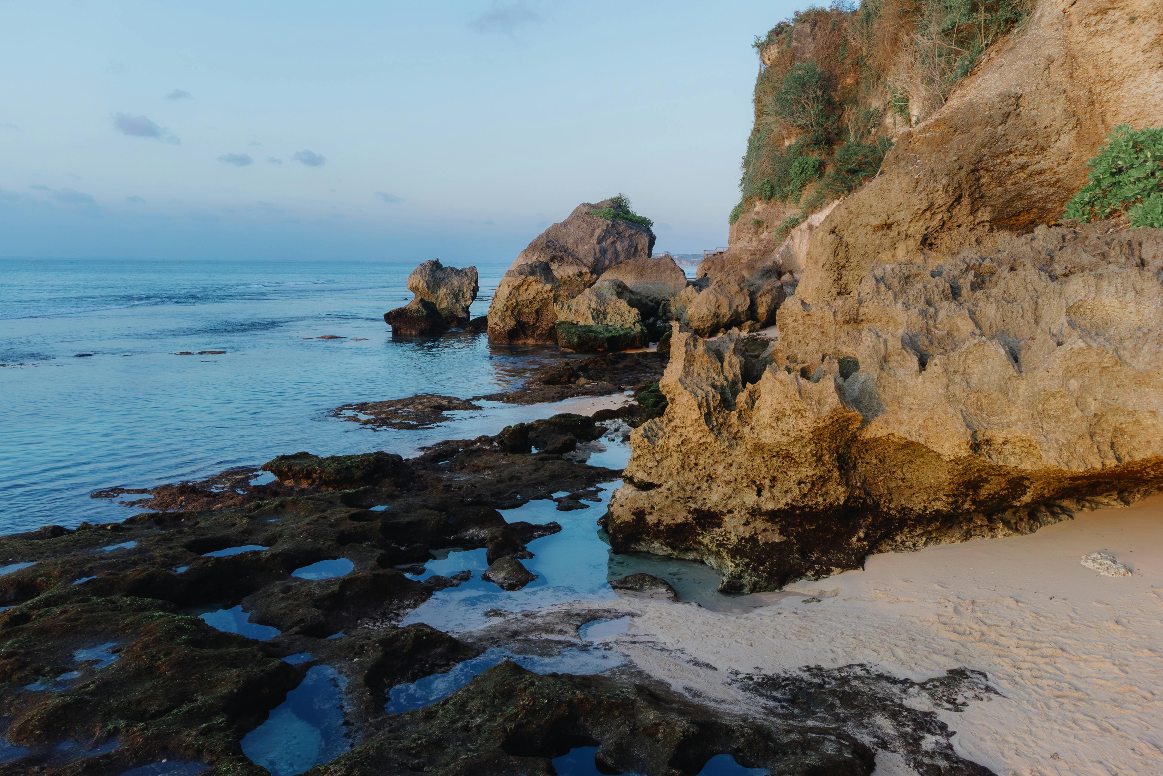 Mohammed Alim - Photography