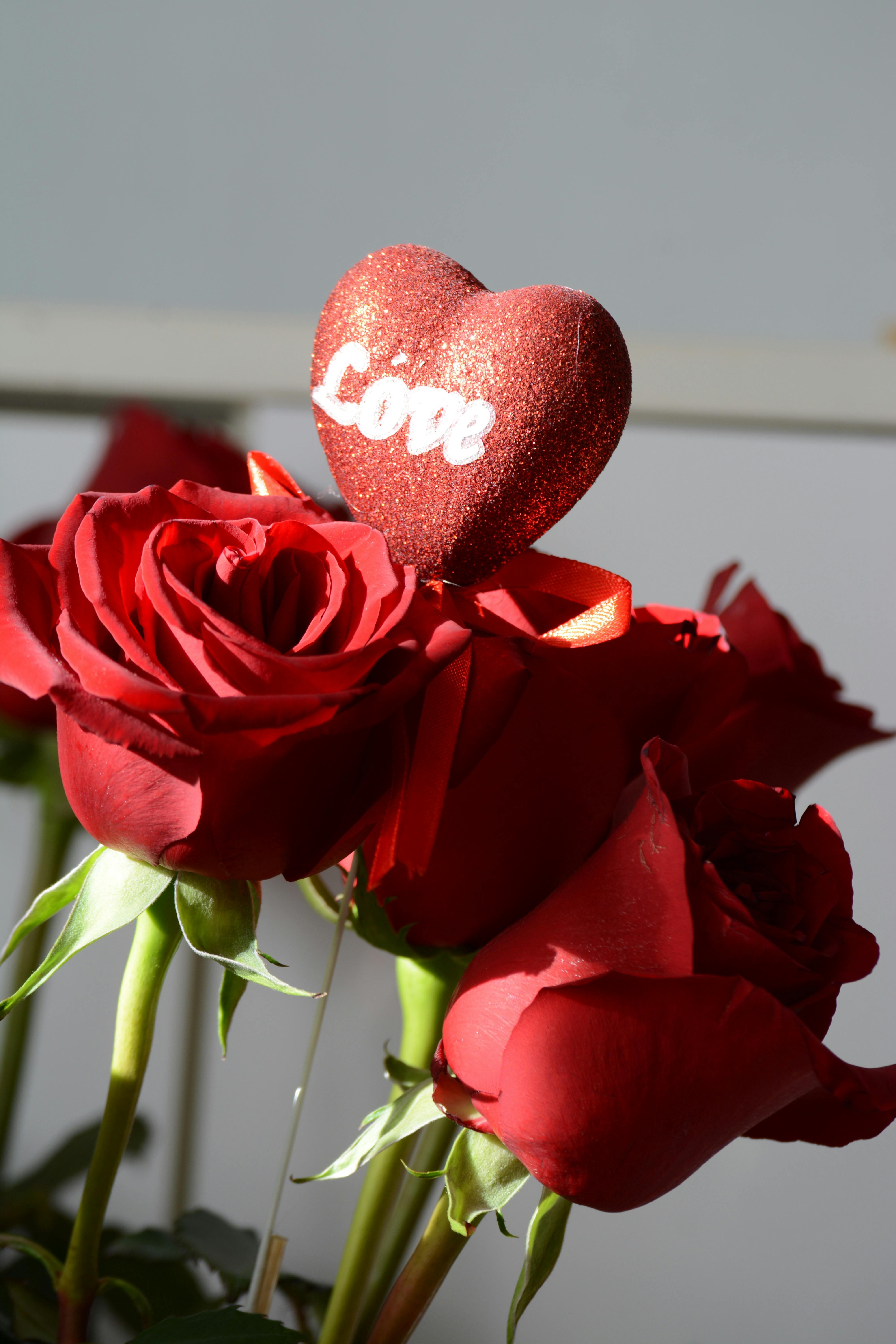 Images Of Red Roses And Heart