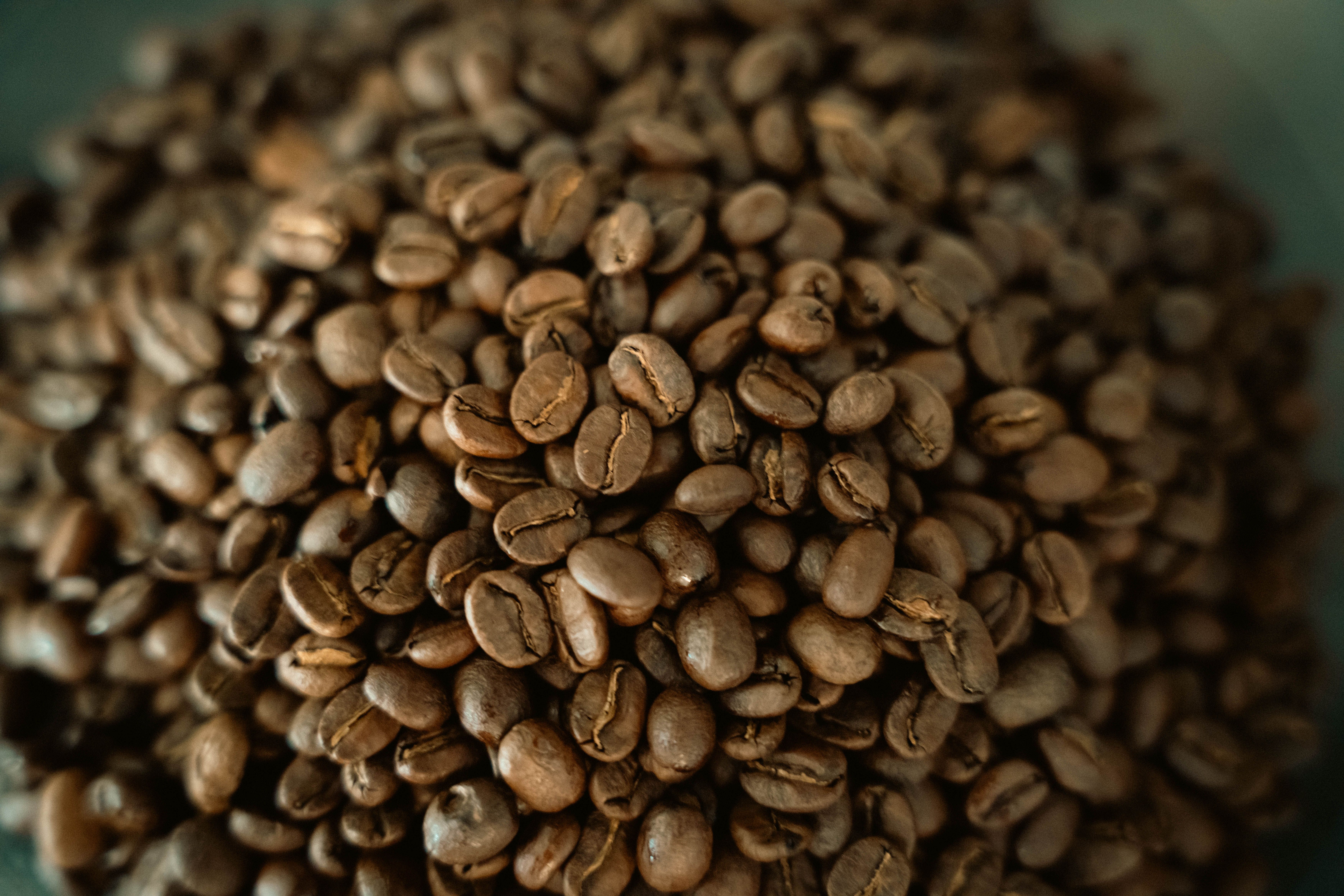 Close-up of Fresh Roasted Coffee Beans · Free Stock Photo