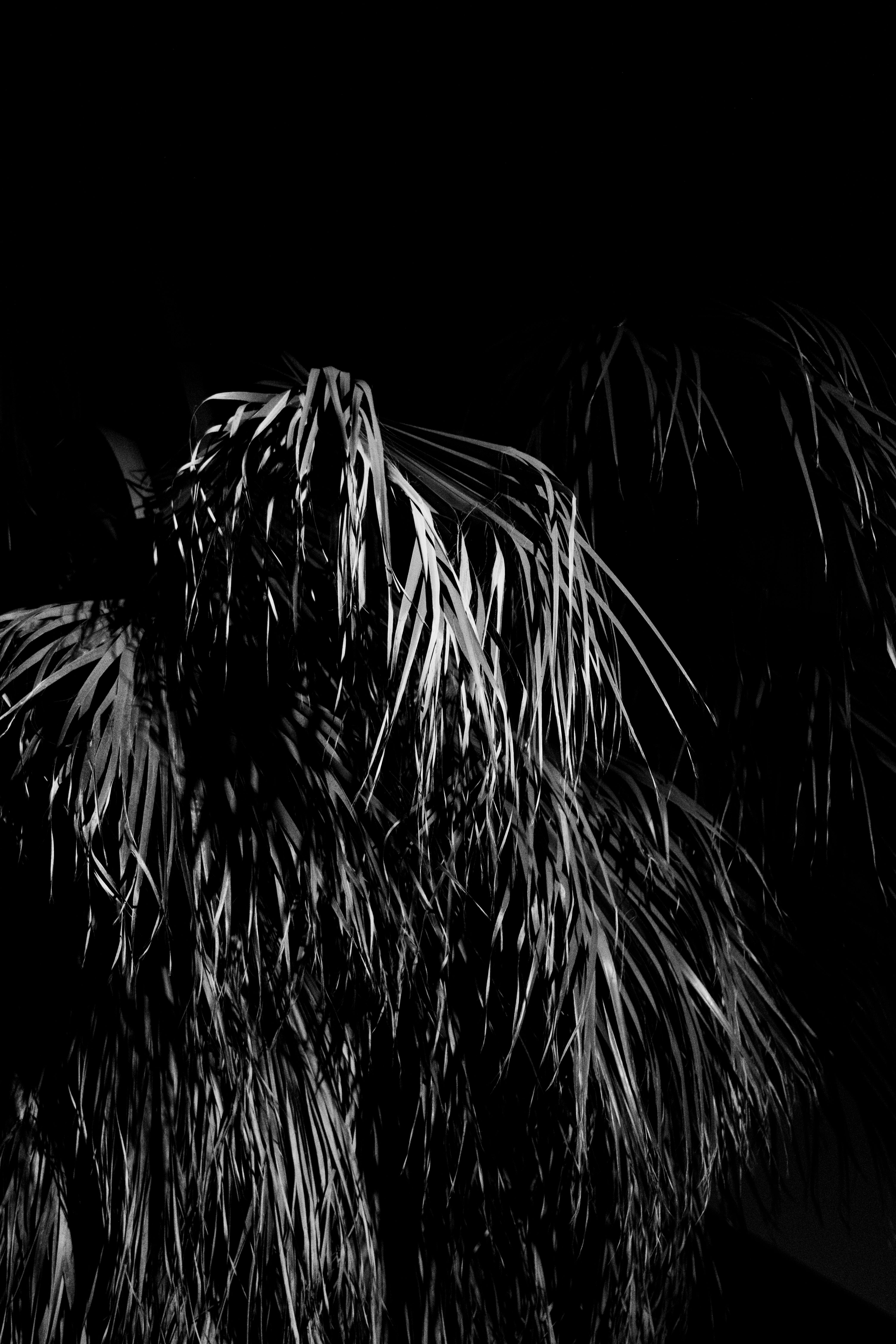 Abstract Monotone Photos, Download The BEST Free Abstract Monotone ...