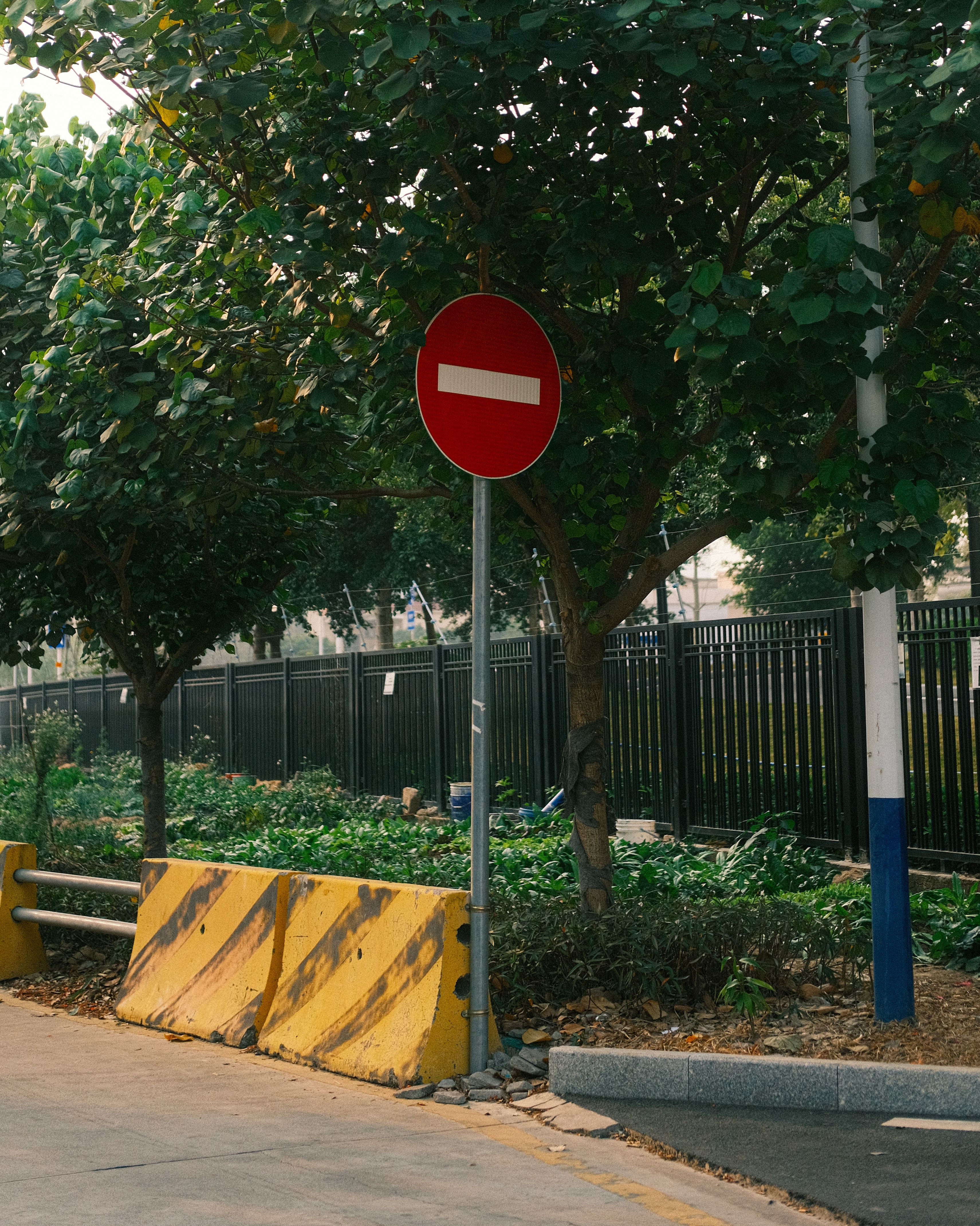 No Entry Sign in Urban Greenery Street Scene · Free Stock Photo