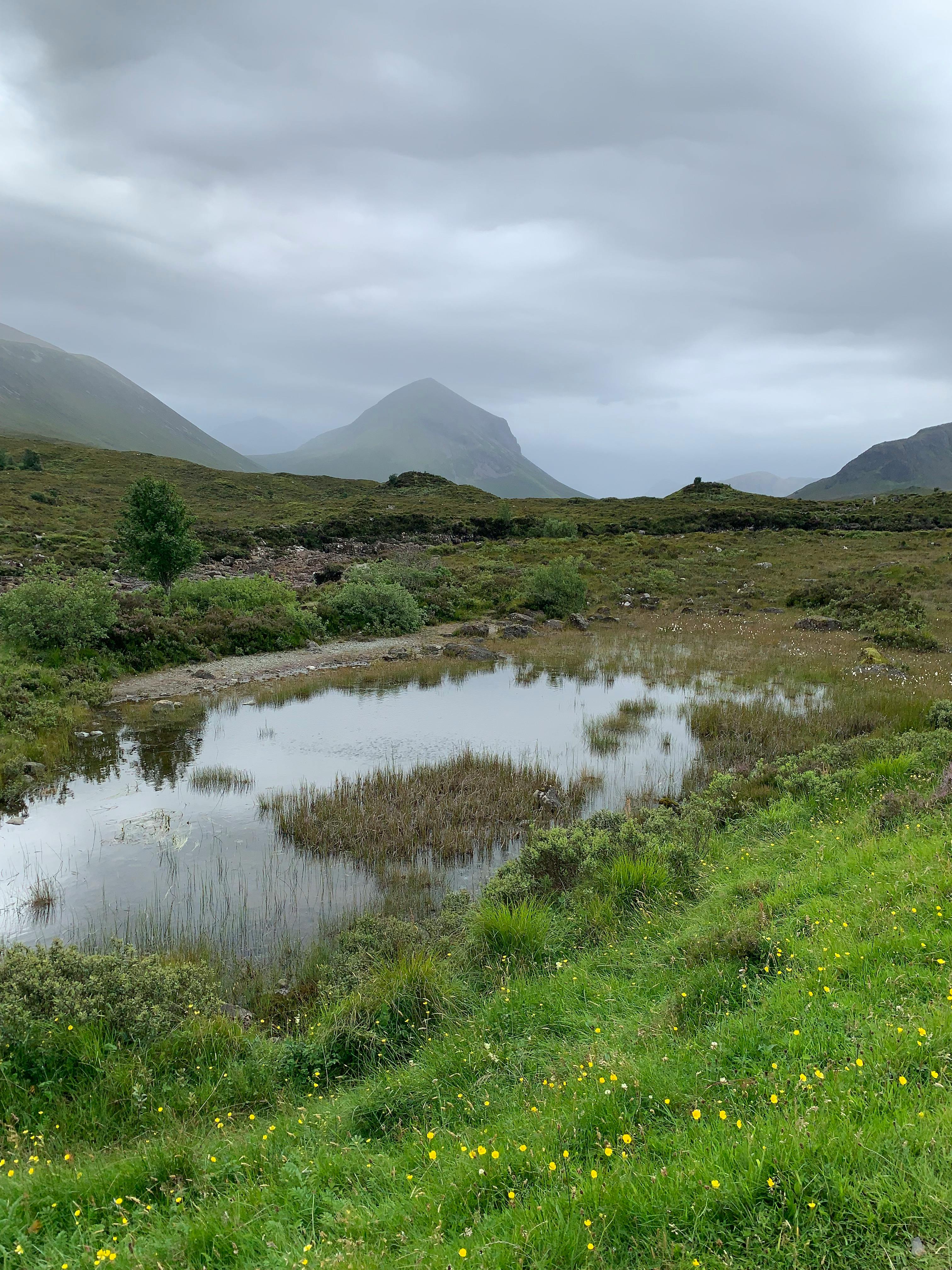 Scenic Pond in Scottish Highlands with Mountain Backdrop · Free Stock Photo