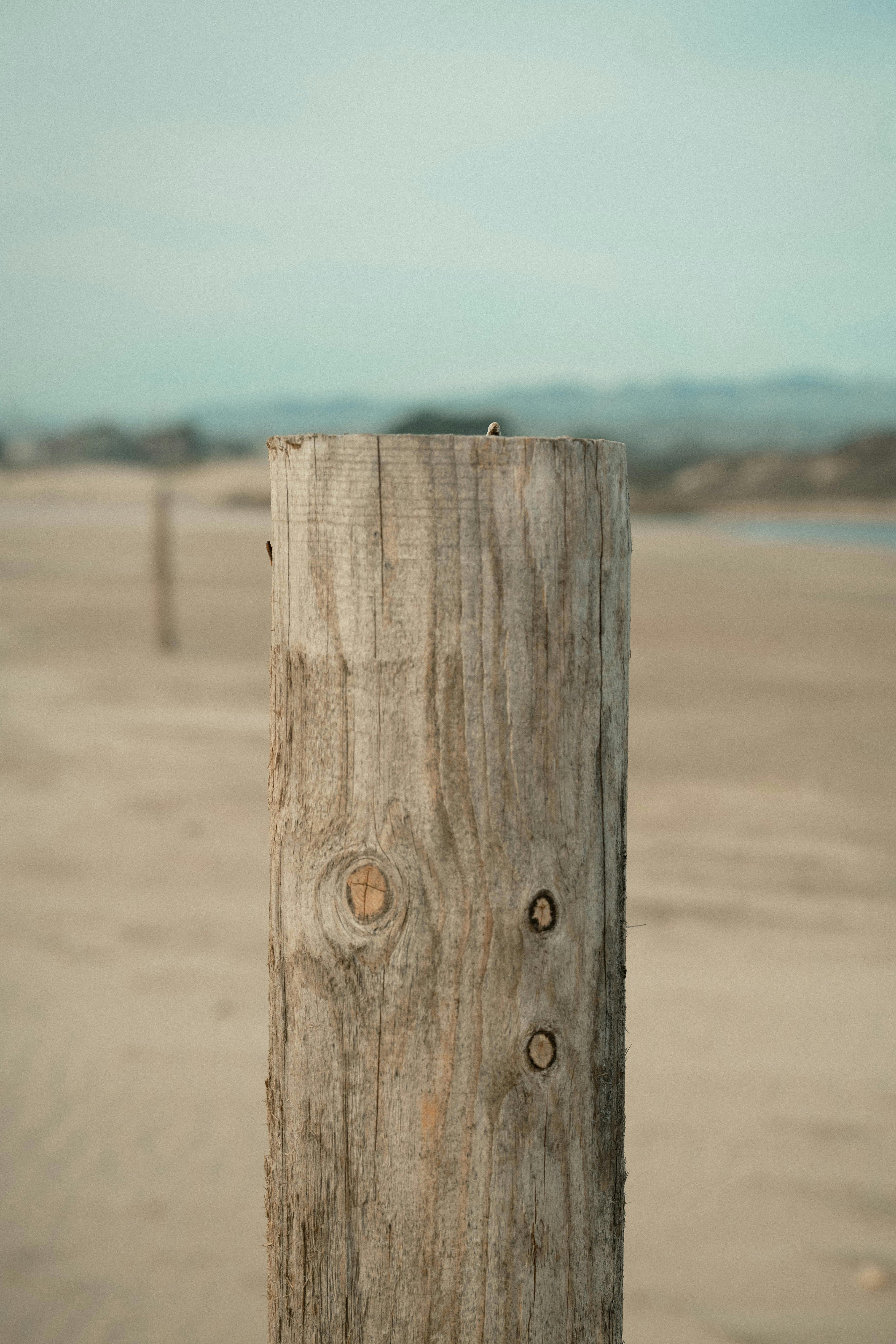Weathered Wooden Post on Tranquil Beach · Free Stock Photo