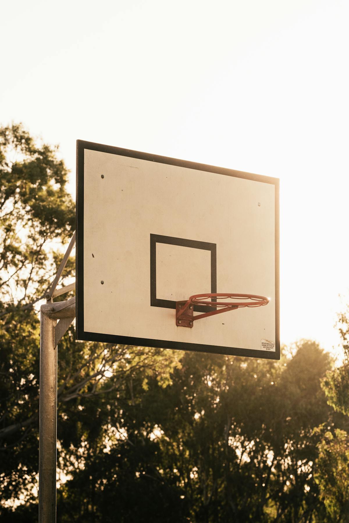 Basketball Pfp Photos, Download The BEST Free Basketball Pfp Stock ...