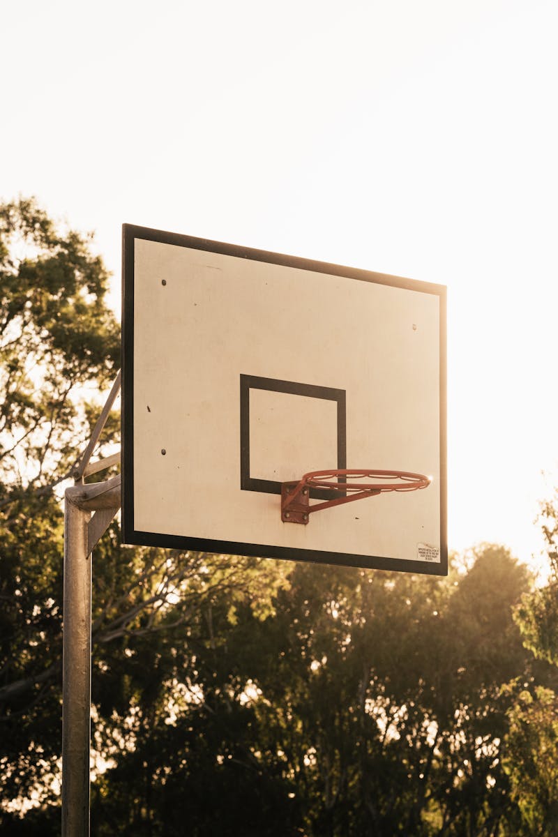 Basketball Pfp Photos, Download The BEST Free Basketball Pfp Stock ...