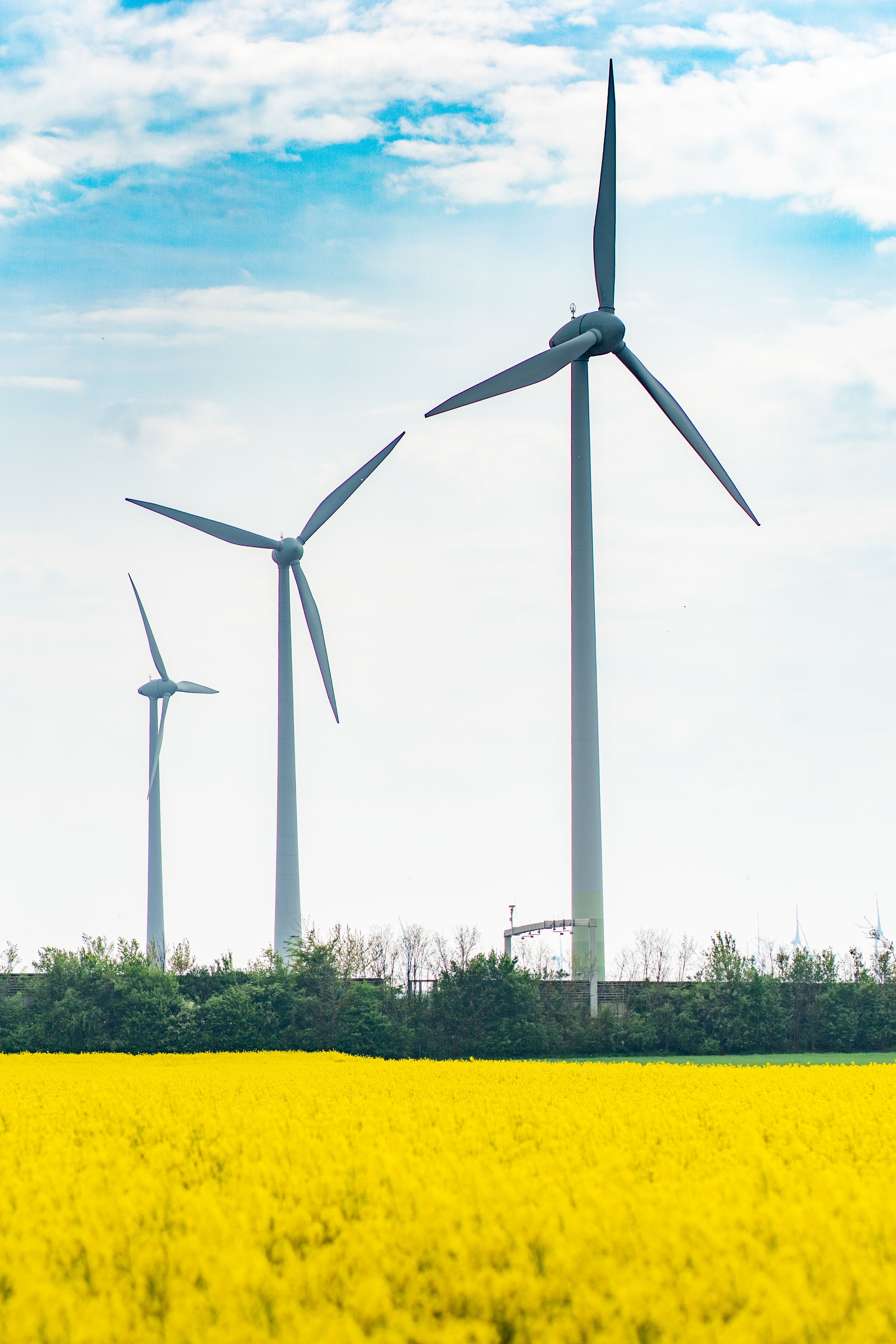 Wind Turbines in a Yellow Field Landscape · Free Stock Photo
