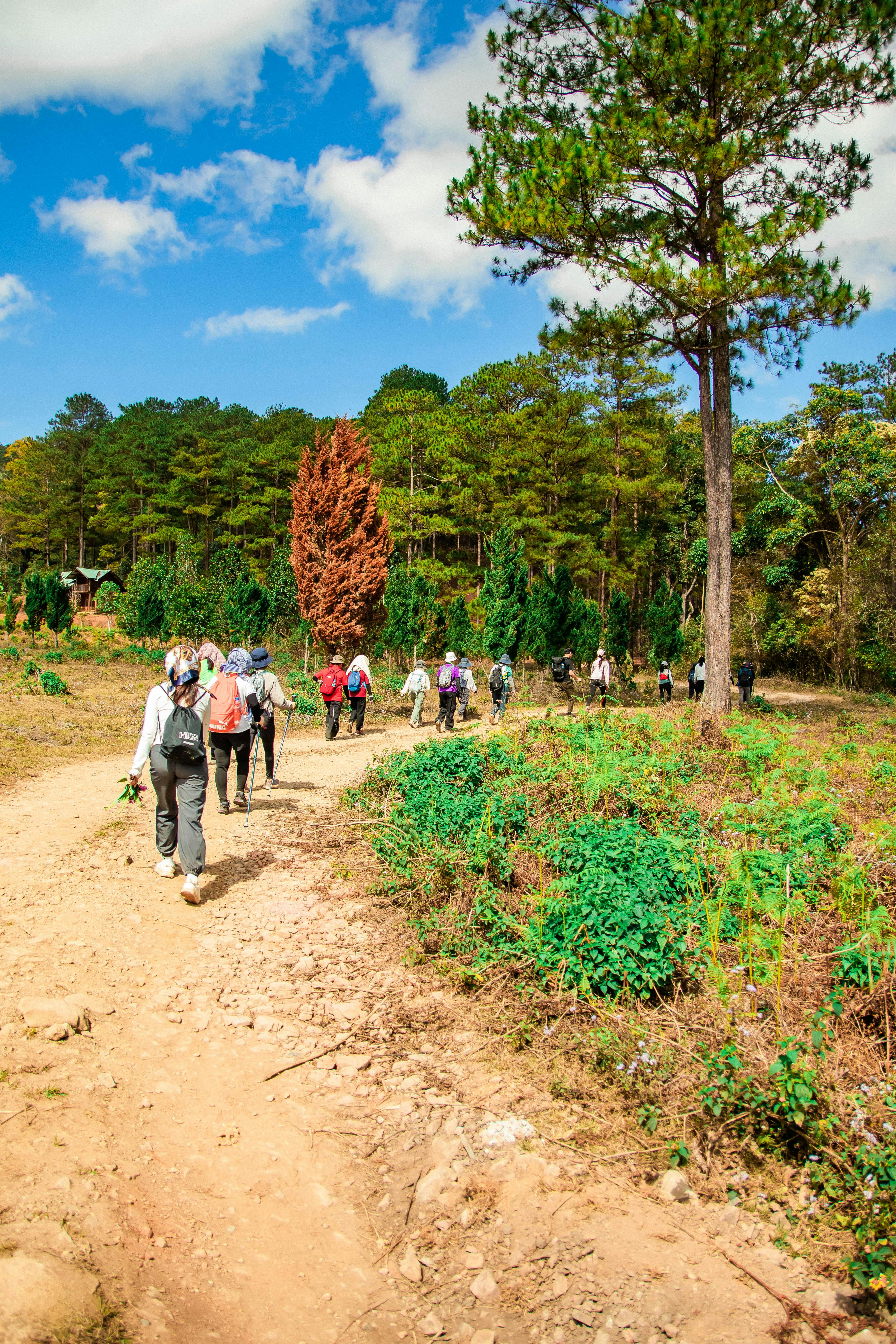 Excursionistas Por Un Sendero Panorámico En Lâm đồng, Vietnam · Foto de ...