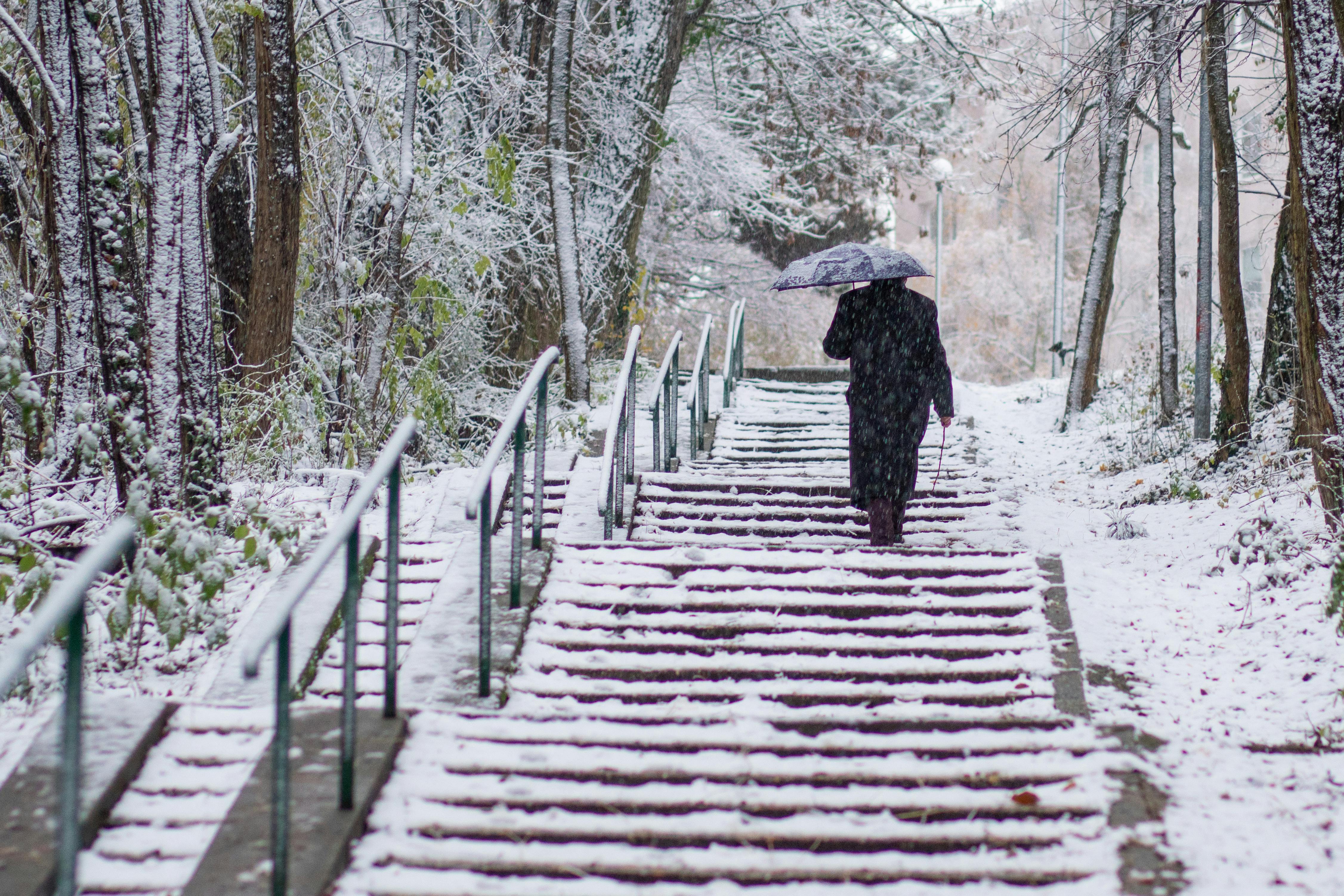 Wintry Walk in Snow-Covered Slovak Pathway · Free Stock Photo