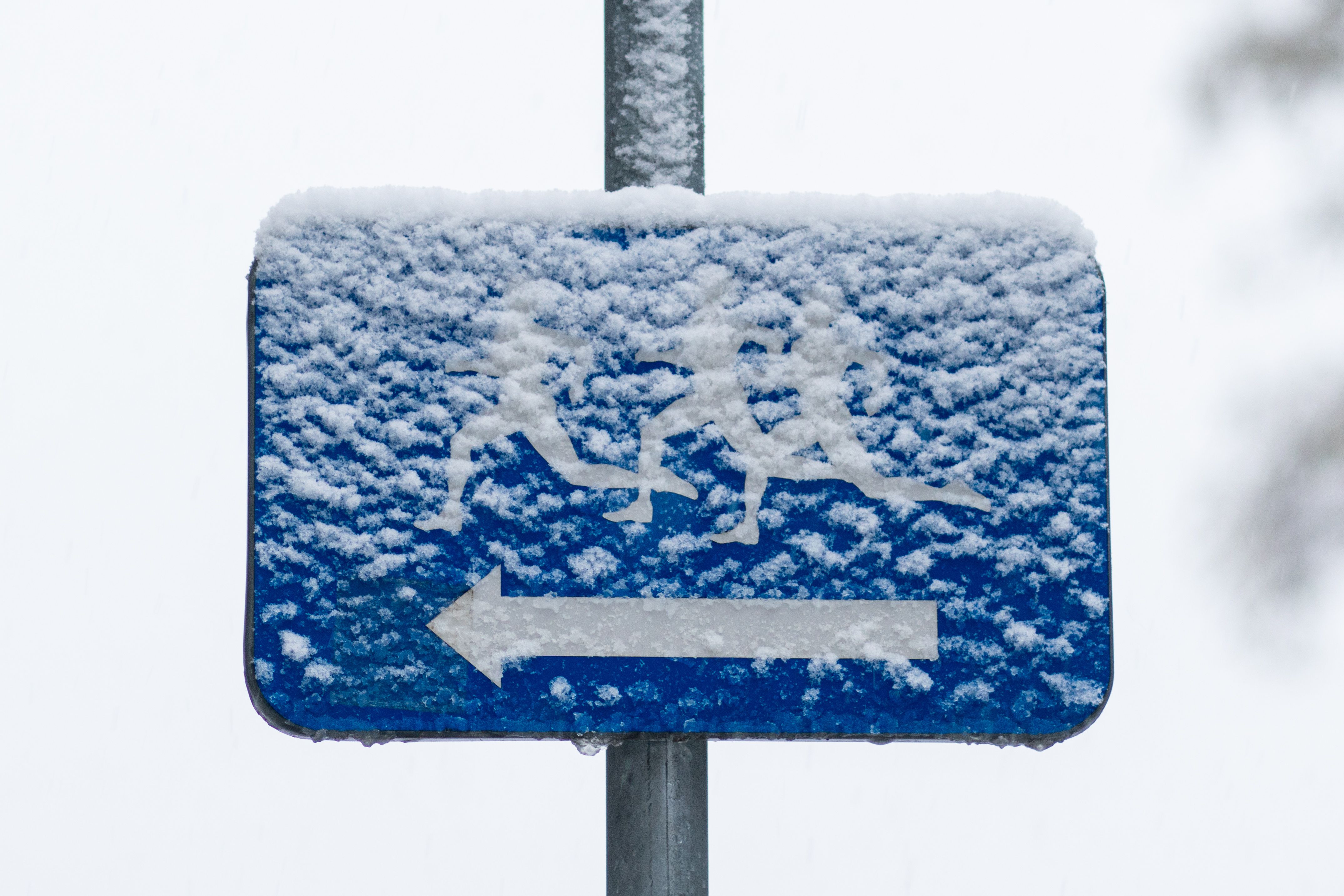 Arrow Sign Photos, Download The BEST Free Arrow Sign Stock Photos & HD ...