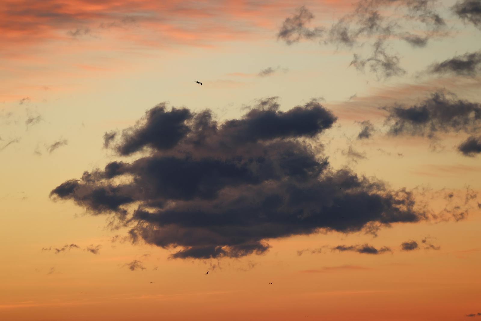 Sunrise Glow Photos, Download The BEST Free Sunrise Glow Stock Photos ...