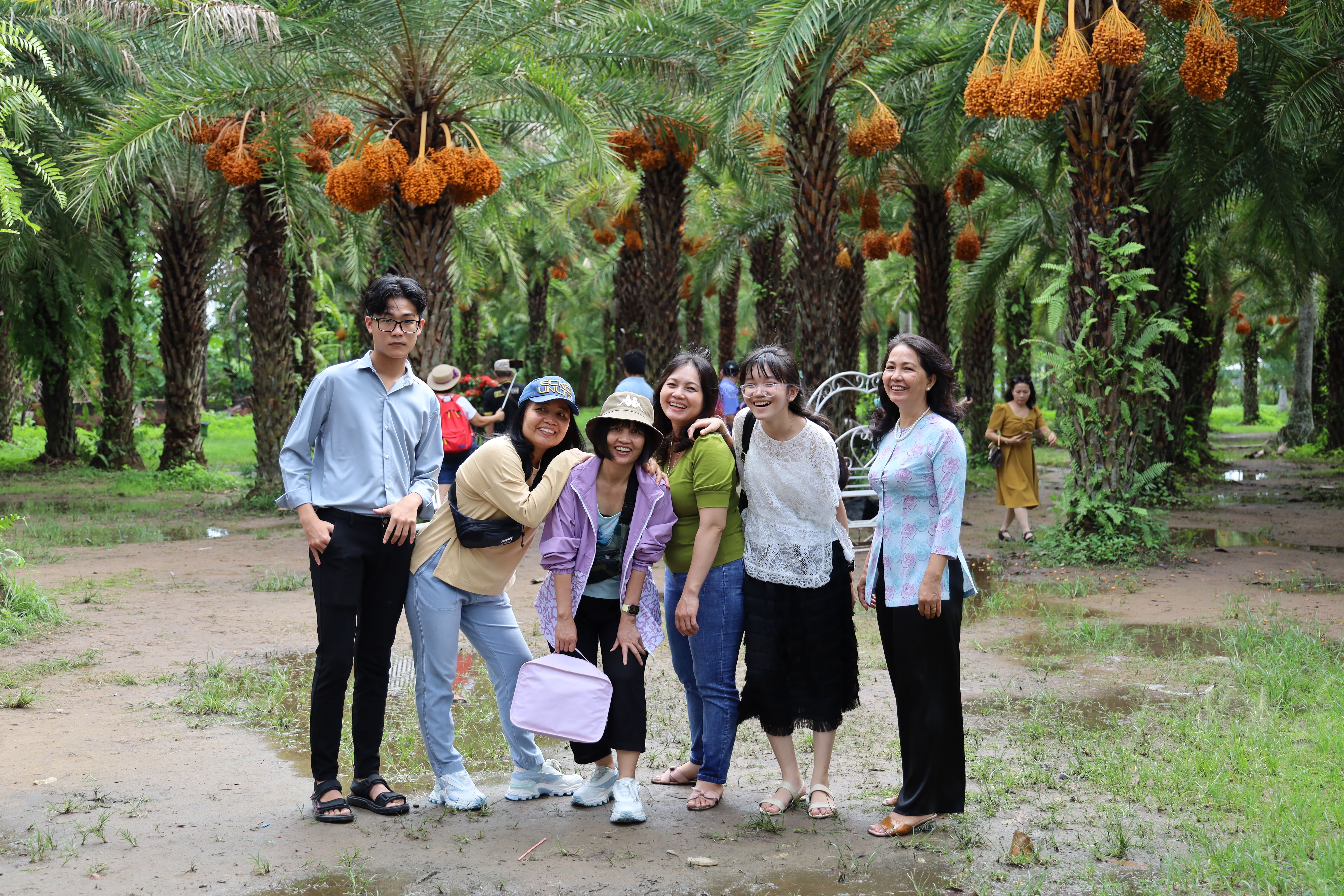 Group of Friends Enjoying a Walk in Palm Tree Grove · Free Stock Photo