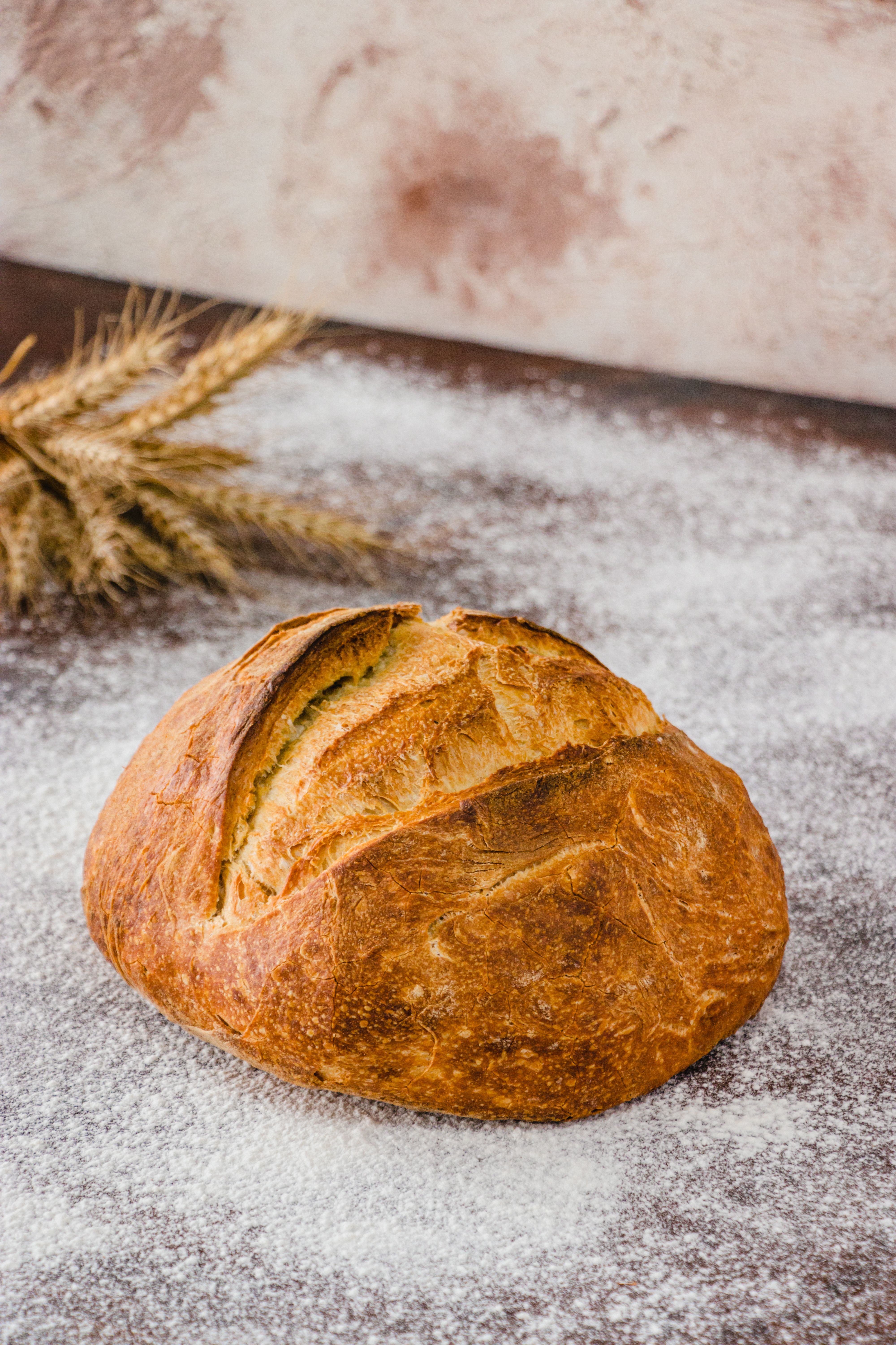 Unleaven Bread Photos, Download The BEST Free Unleaven Bread Stock ...